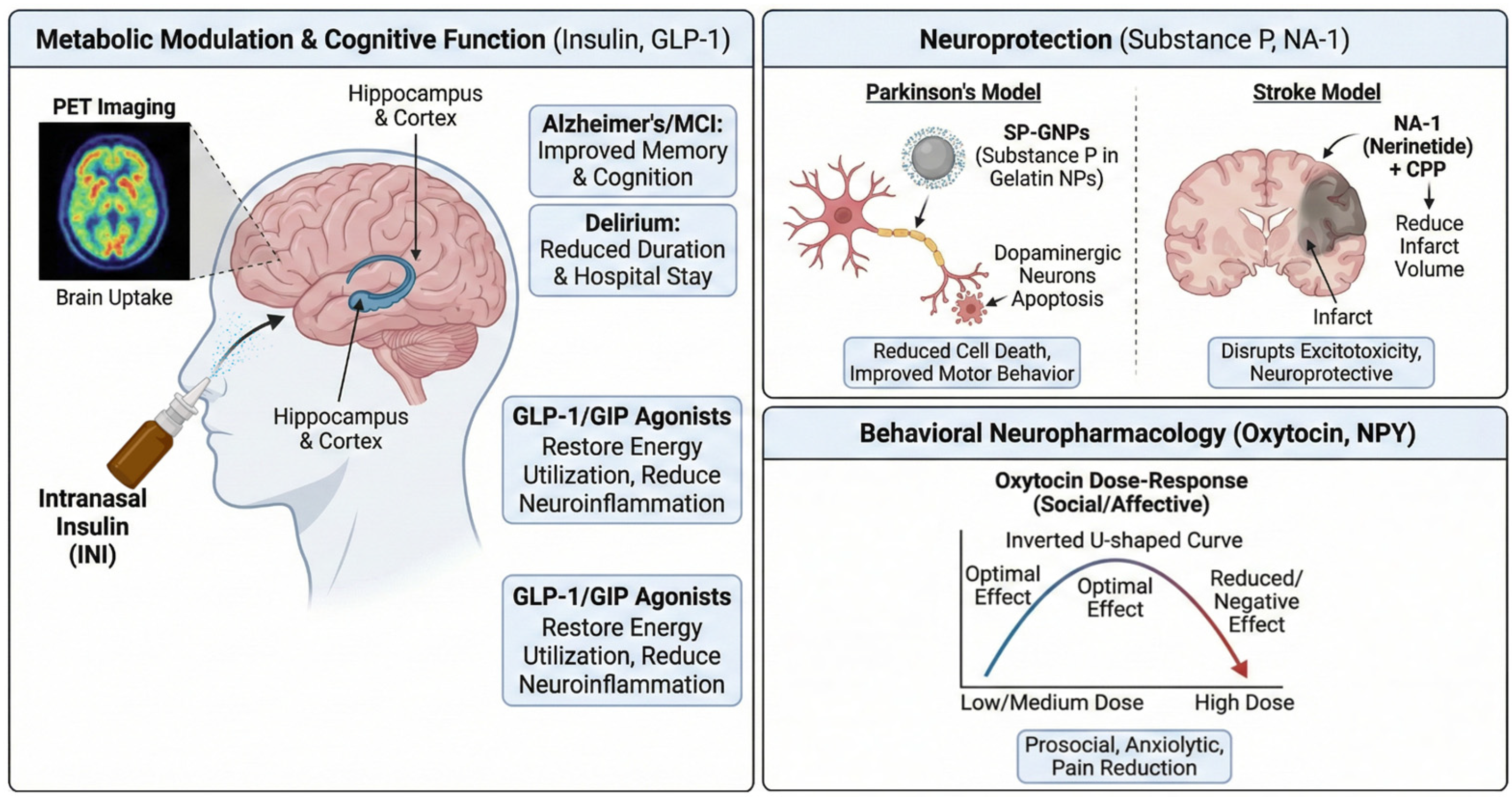 Intranasal Drug Delivery in Neuropharmacology: Advances in Brain ...