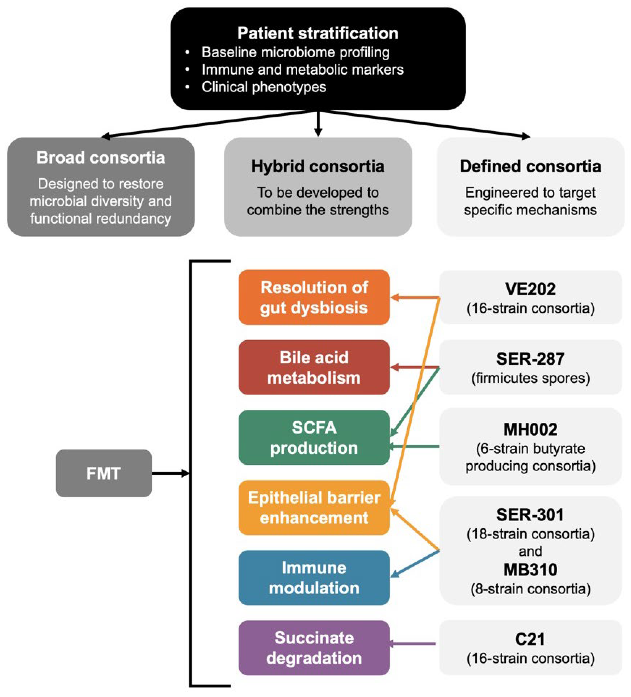 Microbiome-Based Therapies in Ulcerative Colitis: Mechanisms, Clinical ...