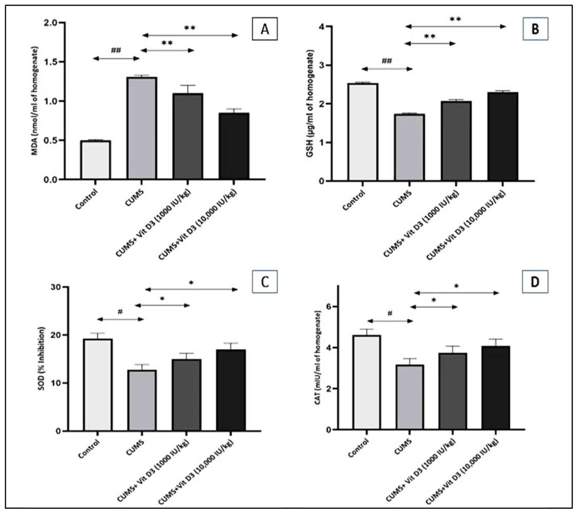 Interplay of Vitamin D3, Wnt/β-Catenin Pathway, and Oxidative DNA ...