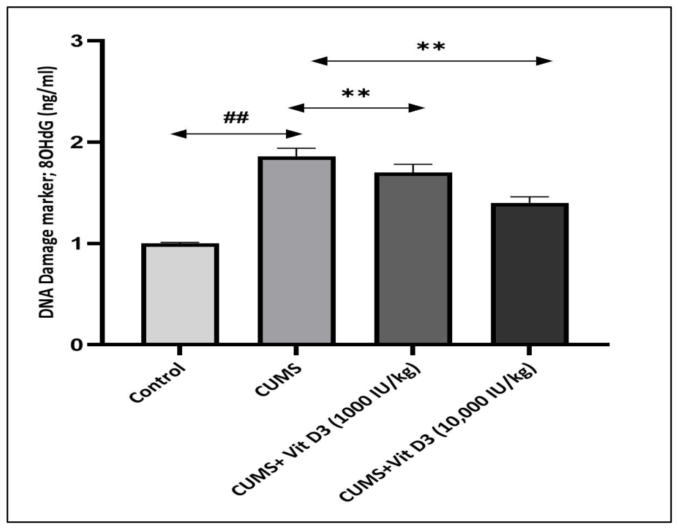 Interplay of Vitamin D3, Wnt/β-Catenin Pathway, and Oxidative DNA ...