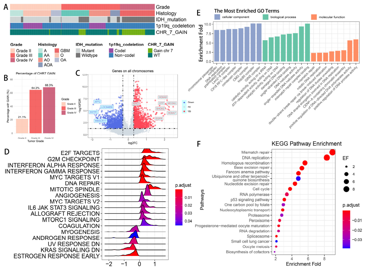 Identification of RPA3 as a Potential Functional Effector of Chromosome ...