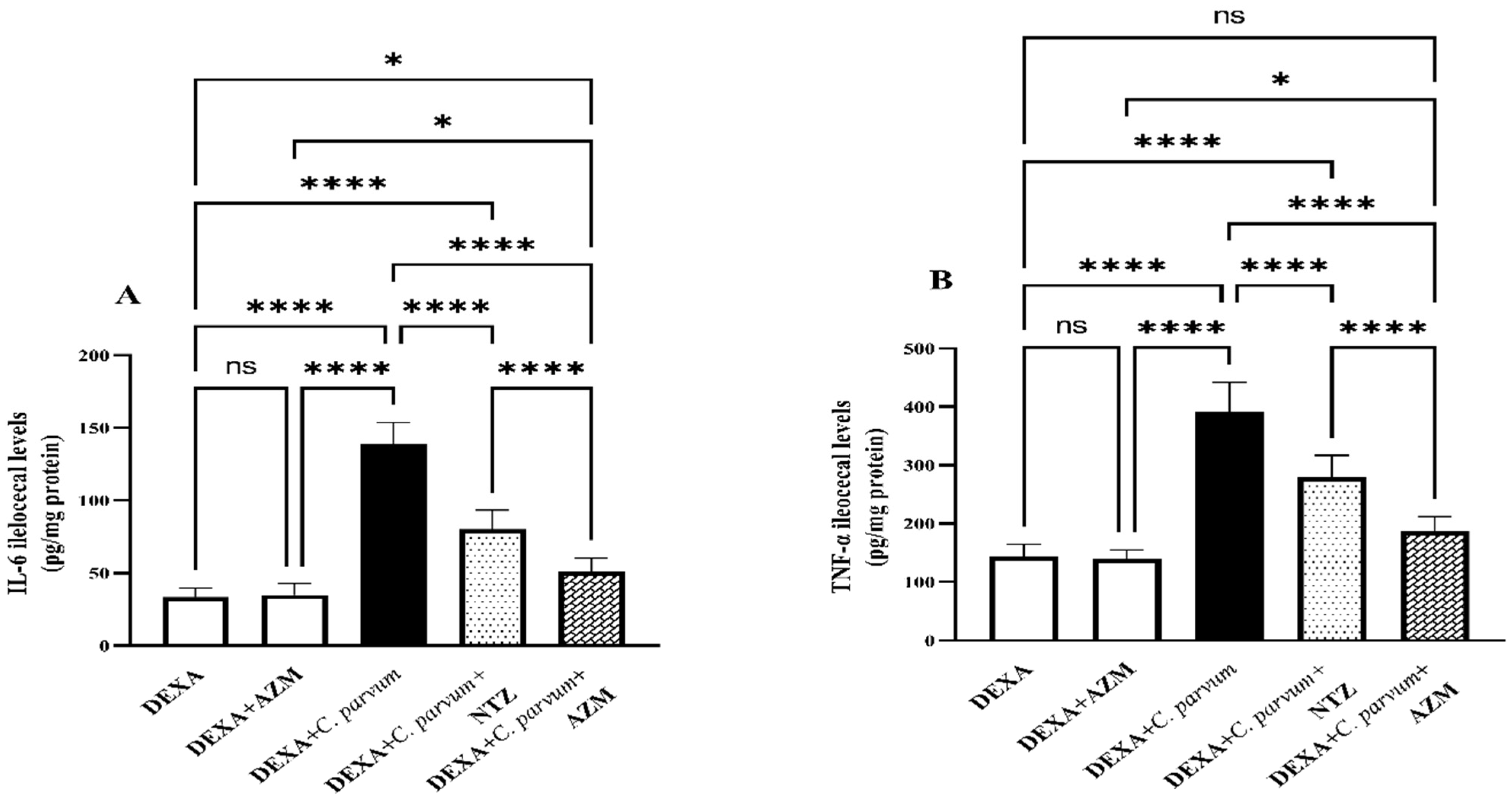 Azithromycin Mitigates Experimental Cryptosporidiosis-Driven Ileocecal ...