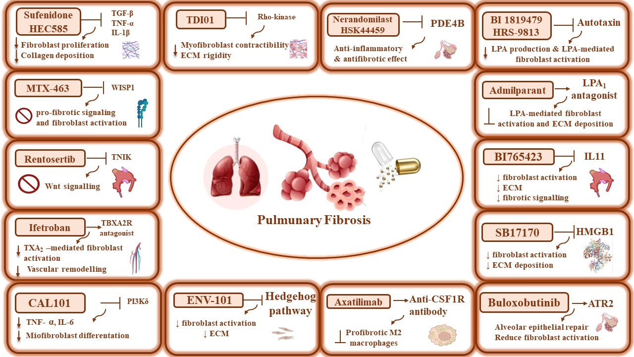 A Scoping Review of Emerging Treatments in the Pipeline for Idiopathic ...