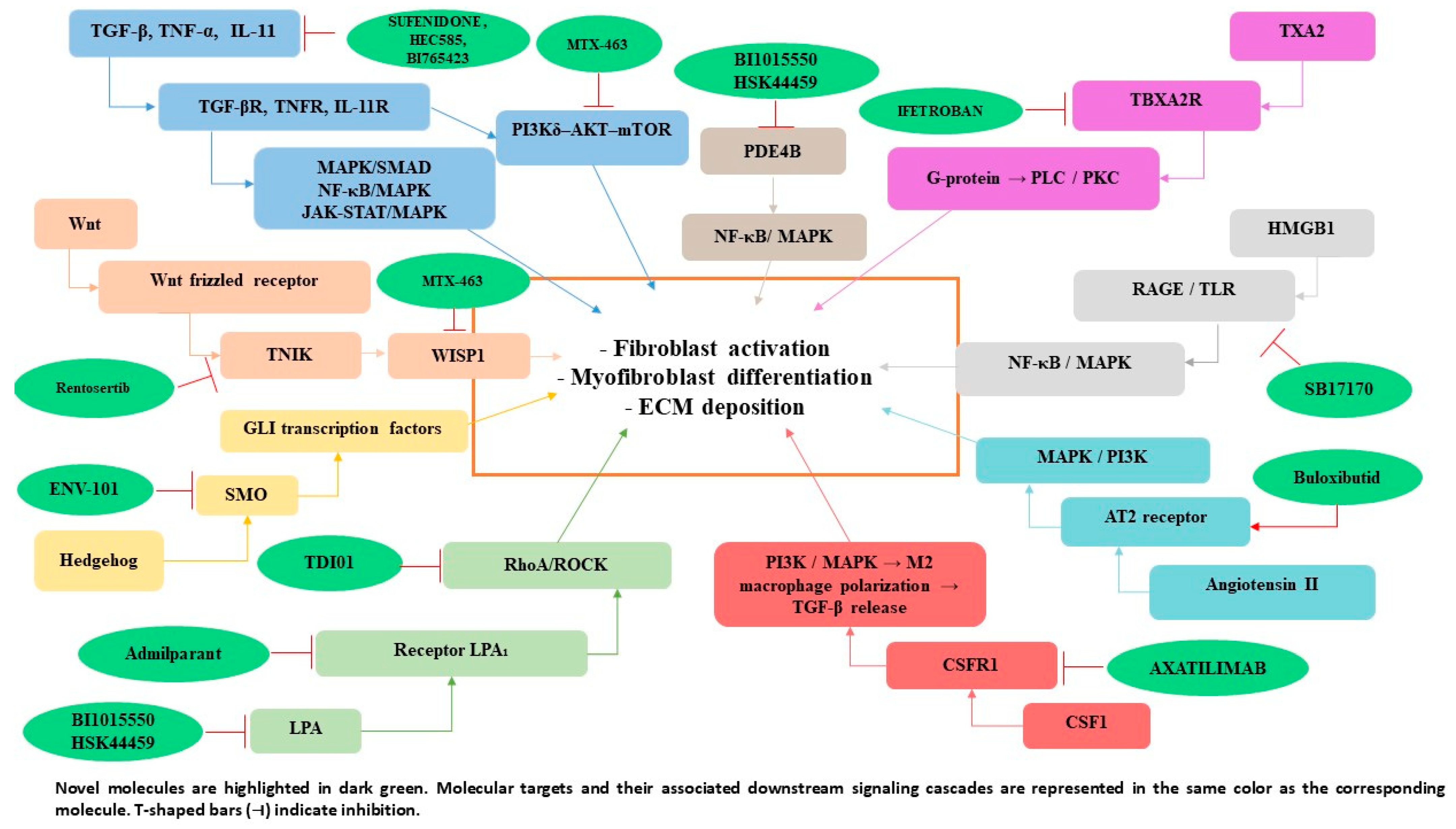 A Scoping Review of Emerging Treatments in the Pipeline for Idiopathic ...