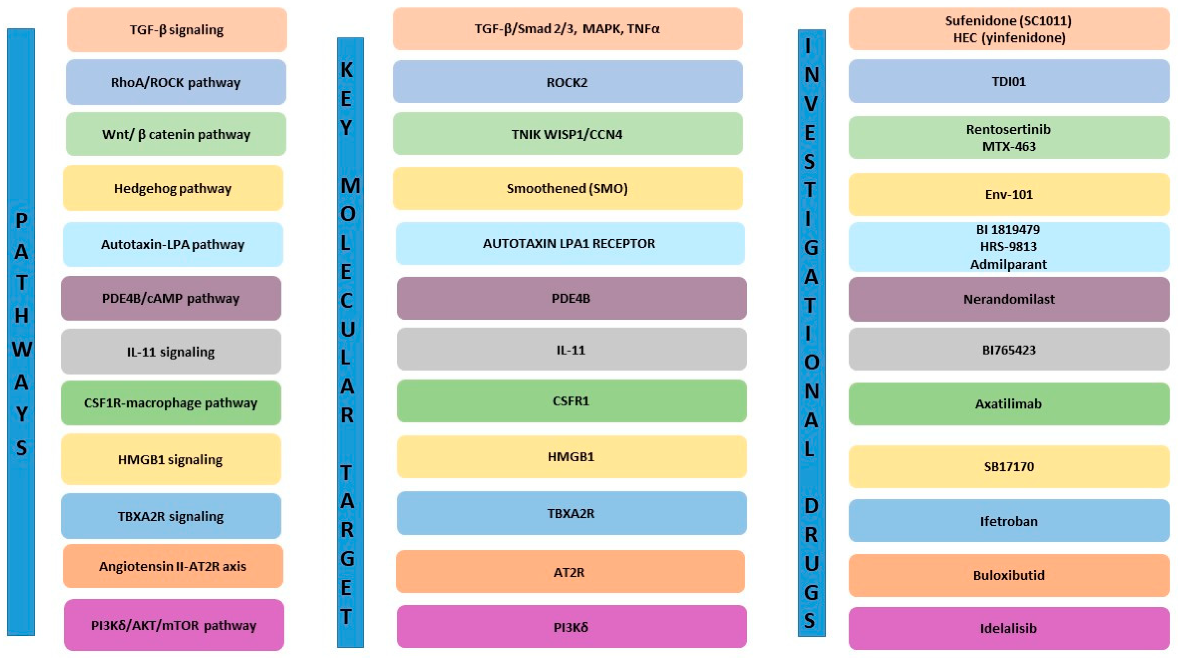 A Scoping Review of Emerging Treatments in the Pipeline for Idiopathic ...