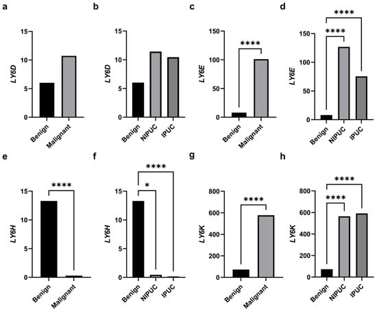 Unveiling the Importance of the Expression of LY6/UPAR Gene Family ...