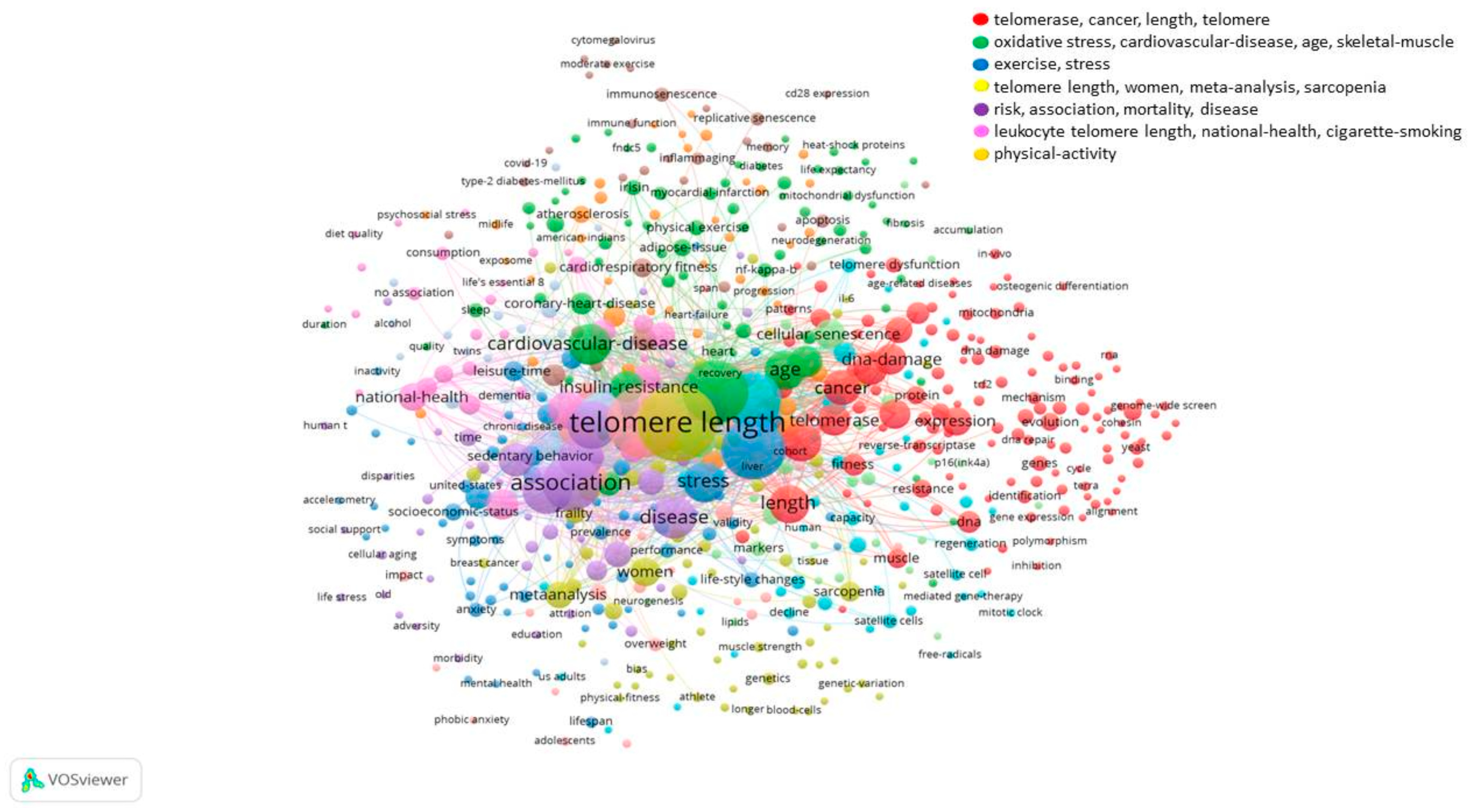 Reframing Telomere Biology in Exercise Science: From Descriptive ...