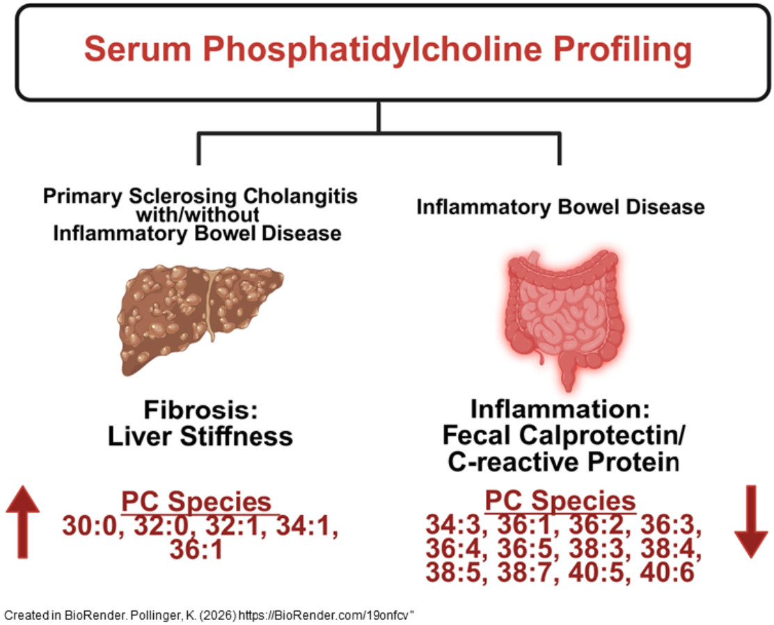 Reciprocal Serum Phosphatidylcholine Signatures Are Related to ...