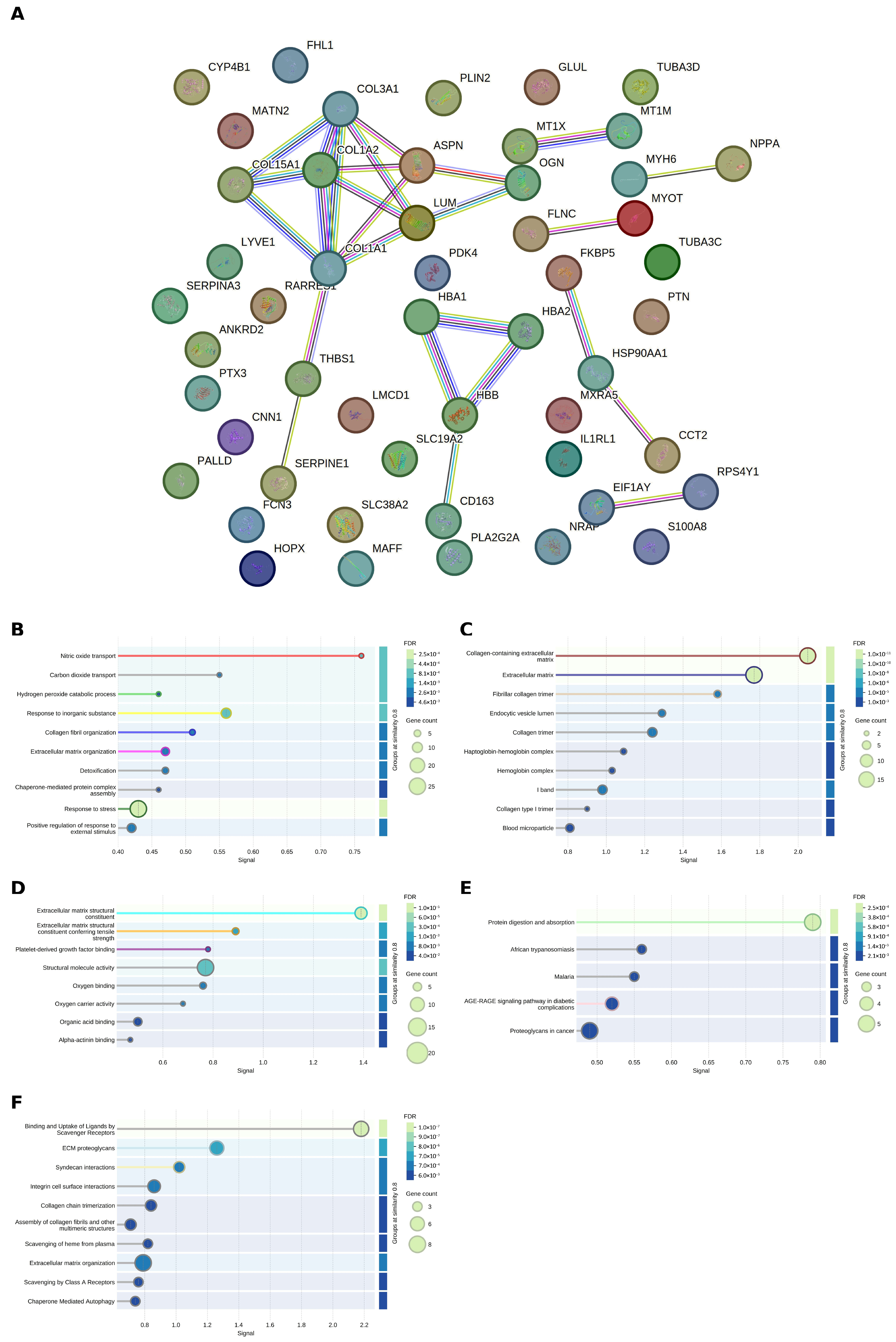 An Integrative Transcriptomic, Network Pharmacology, and Molecular ...