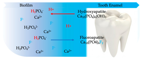 Stannous Fluoride Effects On Enamel A Systematic Review Stannous Fluoride Effects On Enamel A Systematic Review