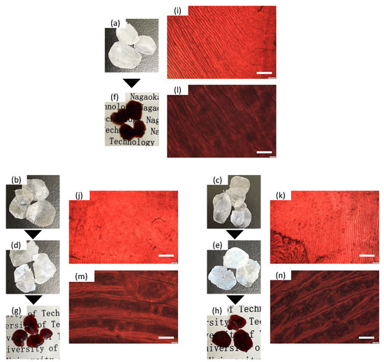 Biomimetic Mineralization in External Layer of Decalcified Fish Scale