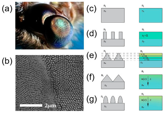 High-Transmission Biomimetics Structural Surfaces Produced via ...