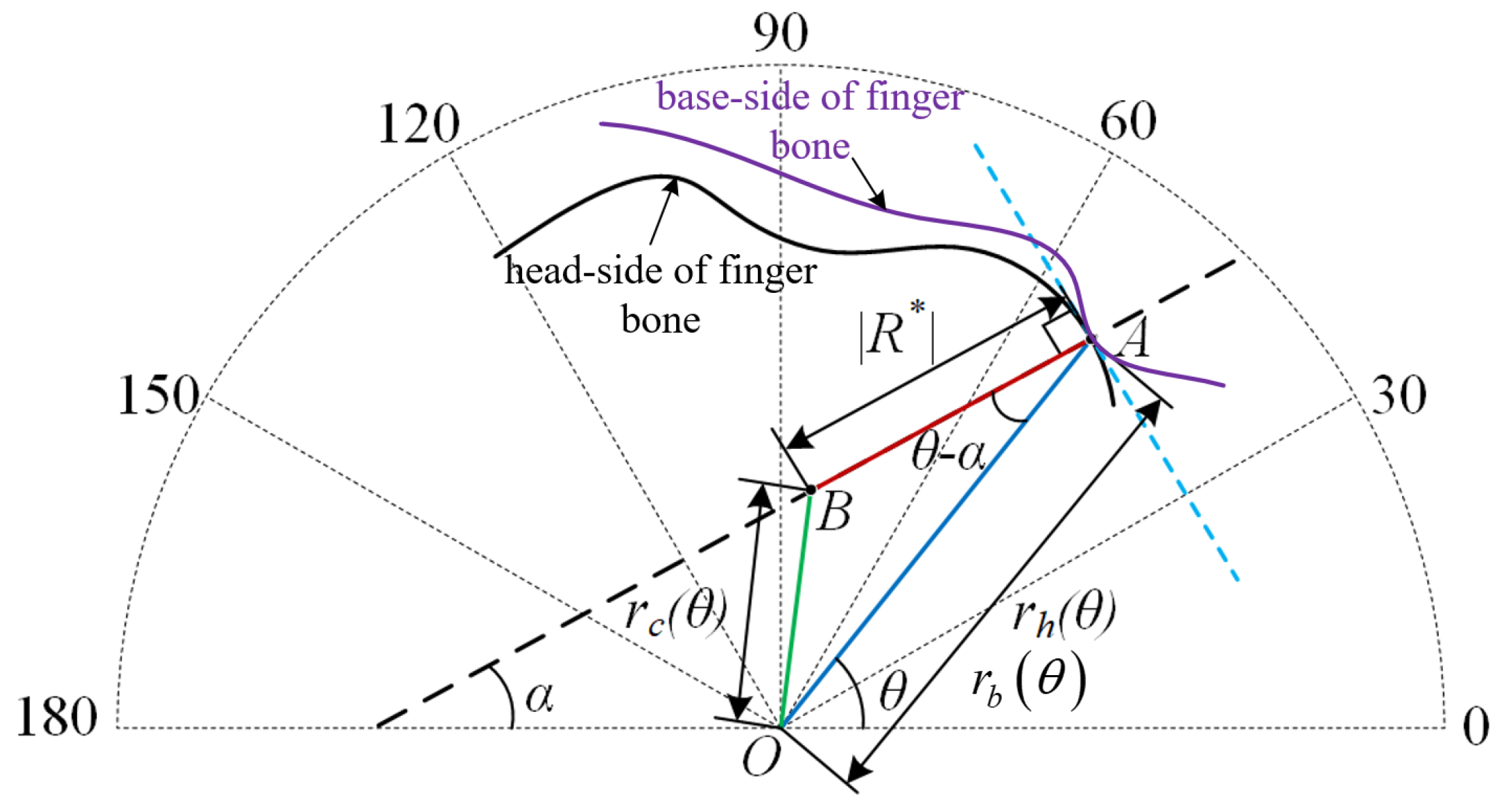 Medical Imaging-Based Kinematic Modeling for Biomimetic Finger Joints ...
