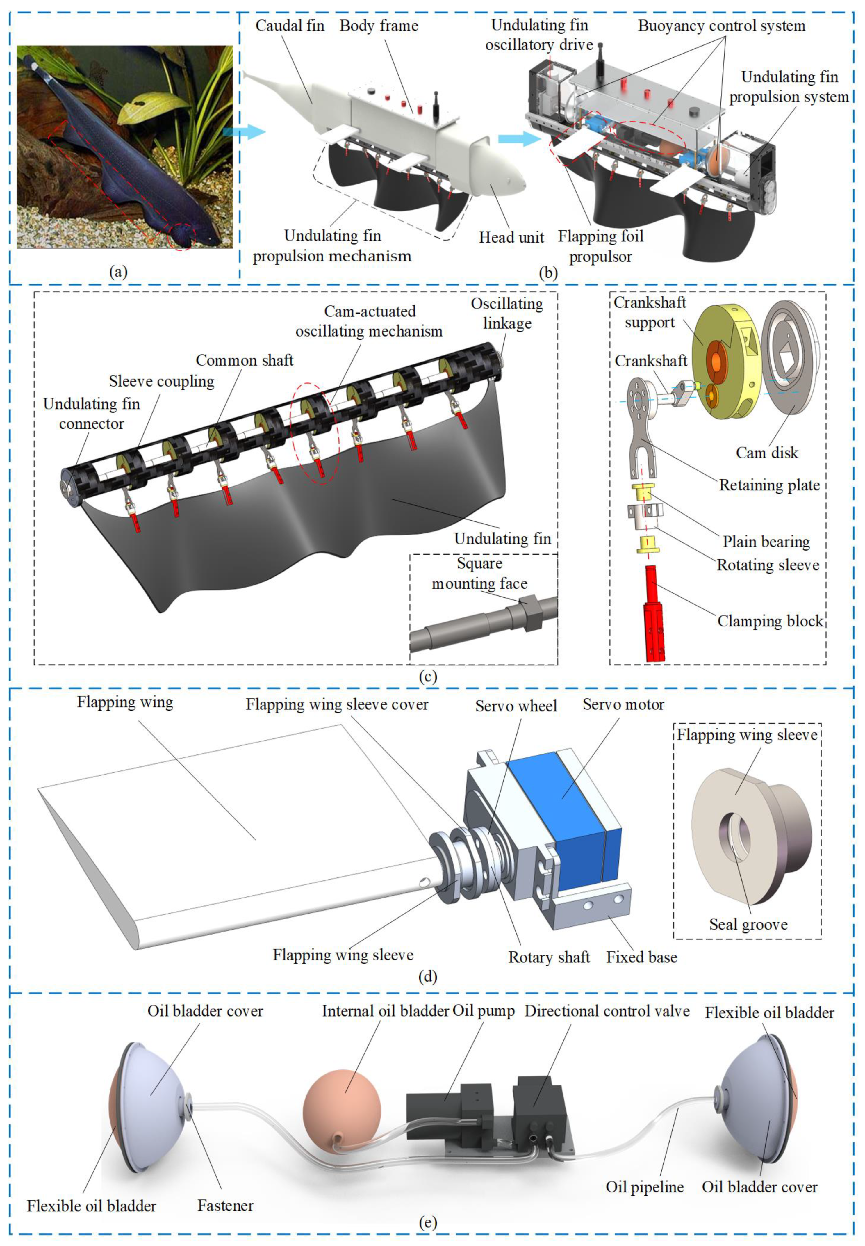 Modeling and Experimental Validation of a Bionic Underwater Robot with ...