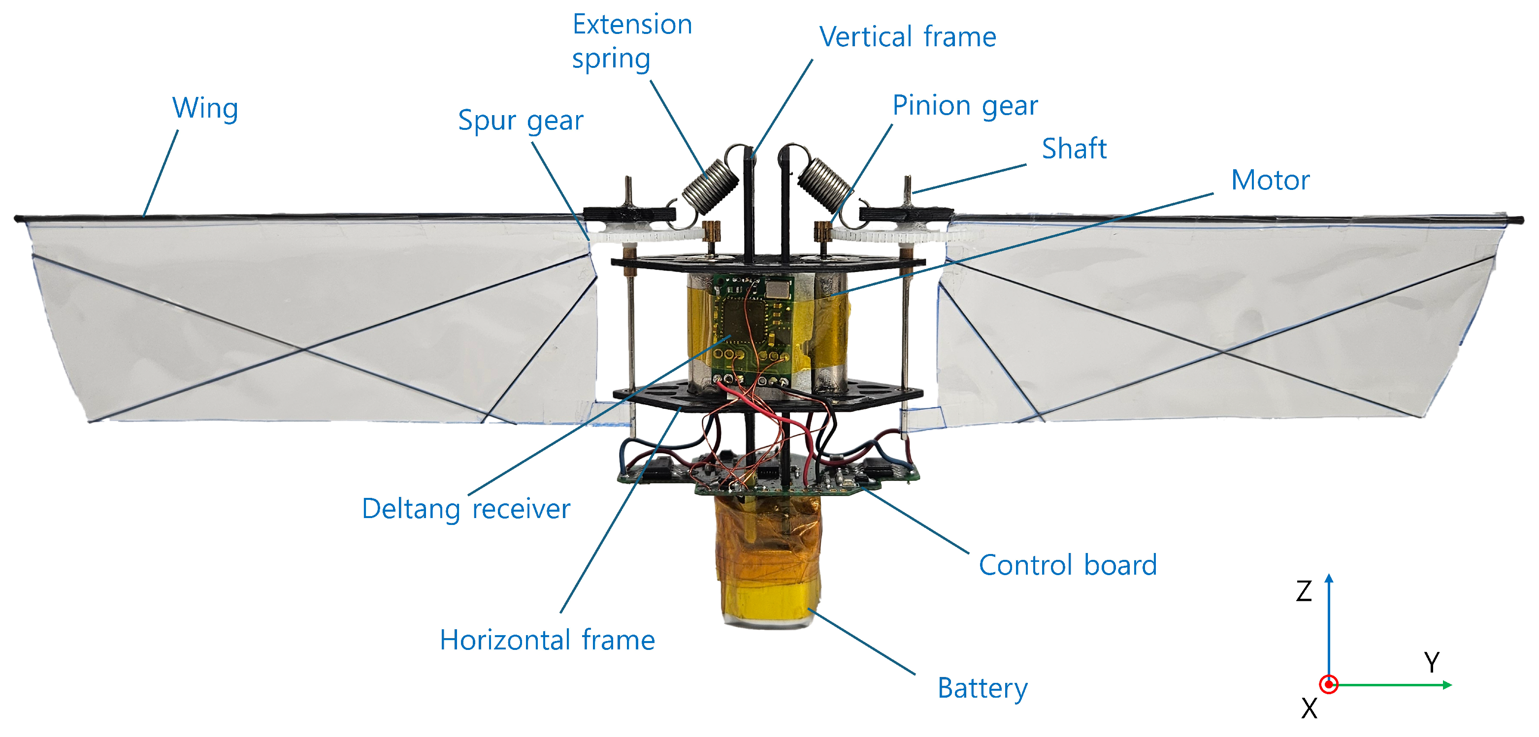 Design and Flight Experiment of a Motor-Directly-Driven Flapping-Wing ...