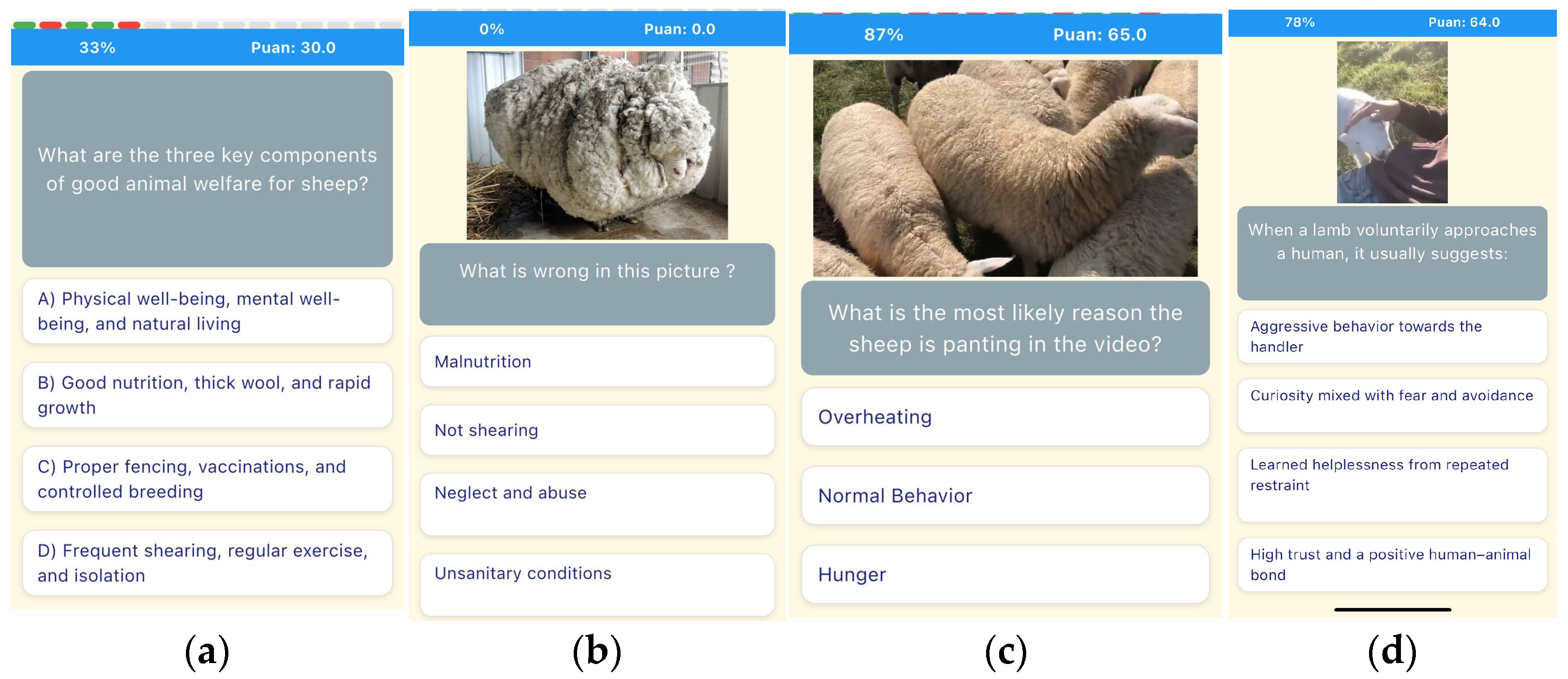 Designing Biomimetic Learning Environments for Animal Welfare Education ...