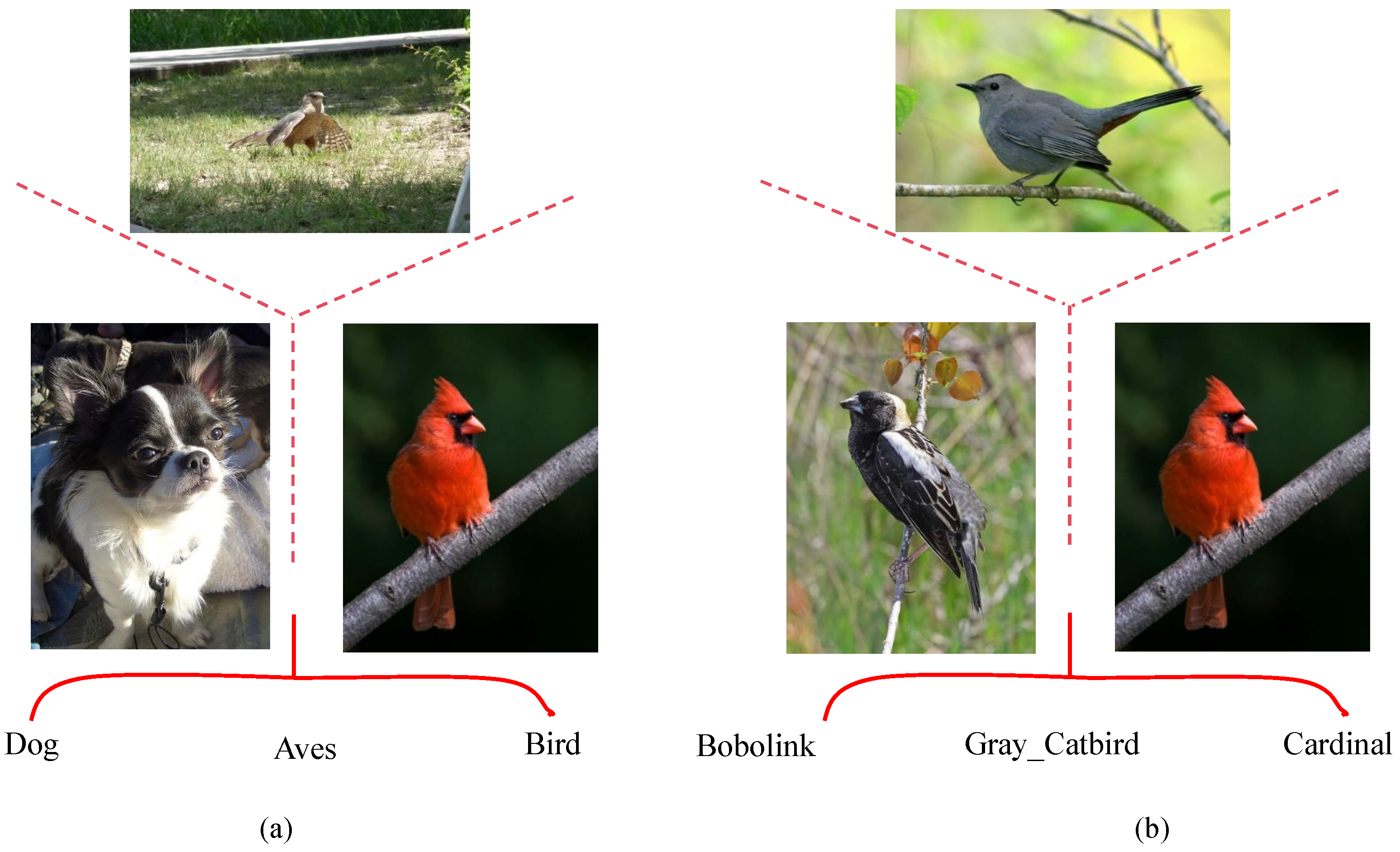 Fine-Grained Image Recognition with Bio-Inspired Gradient-Aware Attention