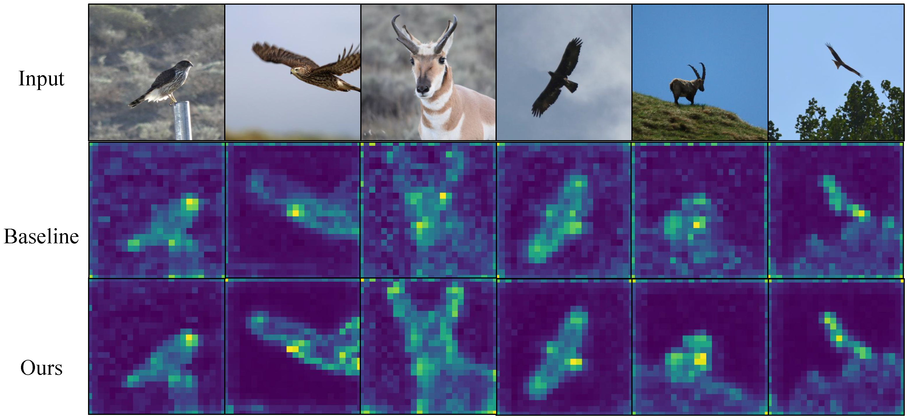 Fine-Grained Image Recognition with Bio-Inspired Gradient-Aware Attention