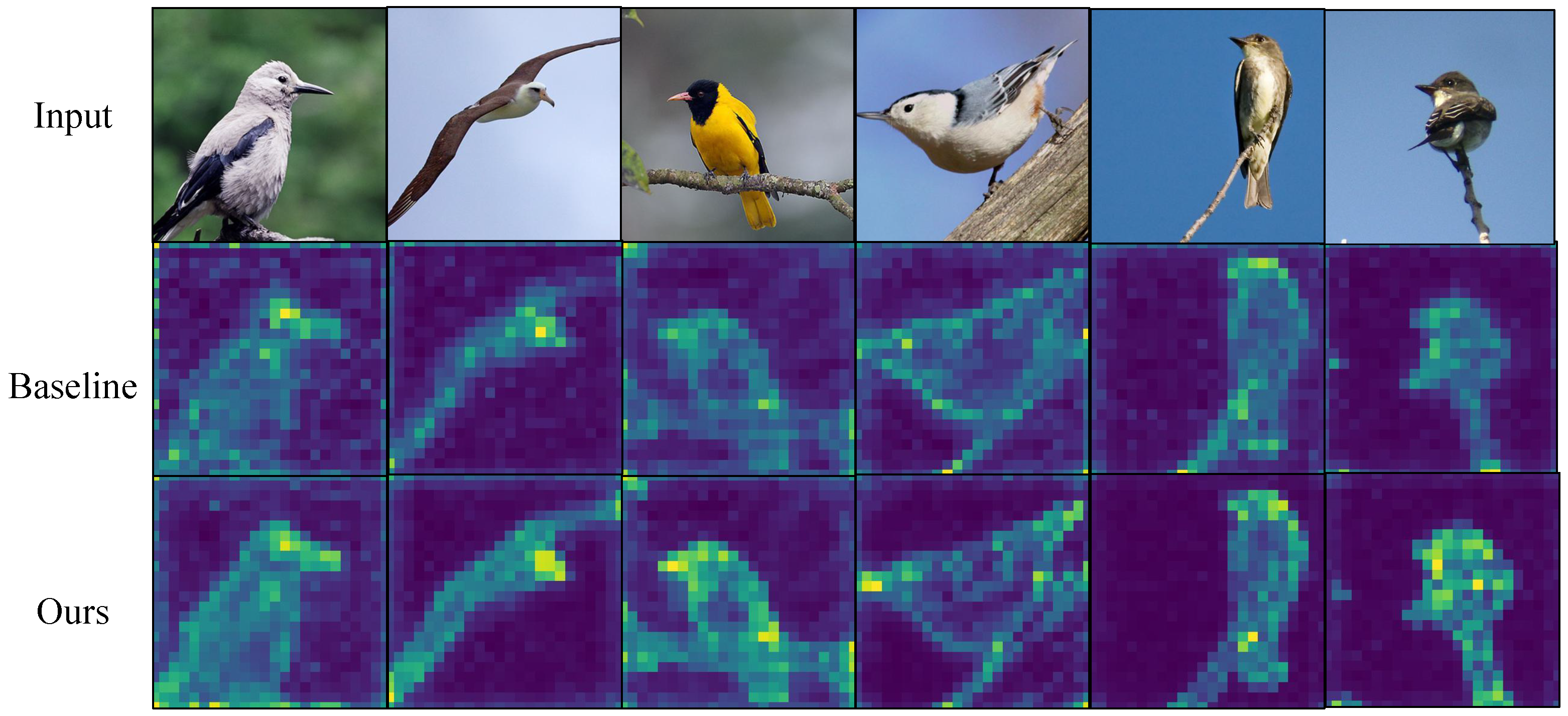 Fine-Grained Image Recognition with Bio-Inspired Gradient-Aware Attention