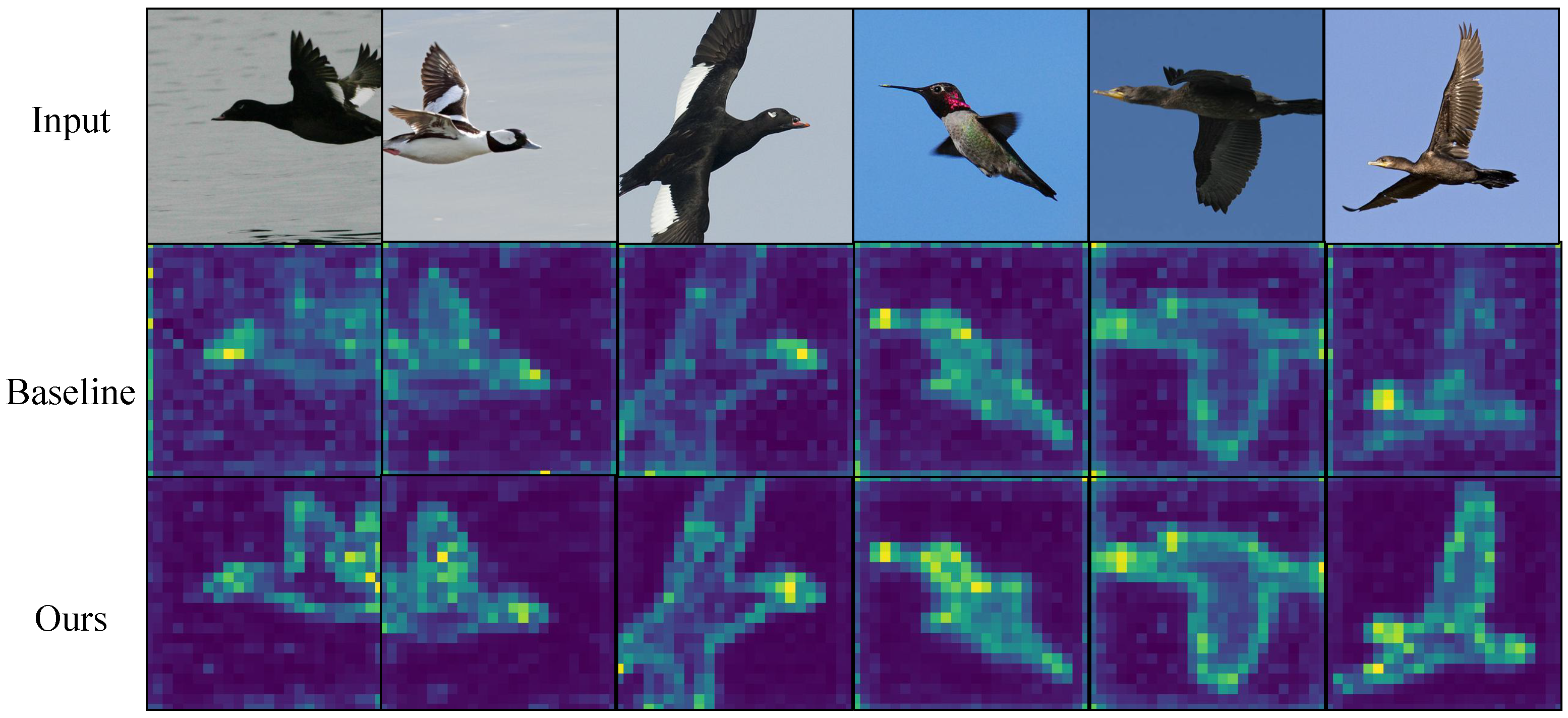 Fine-Grained Image Recognition with Bio-Inspired Gradient-Aware Attention