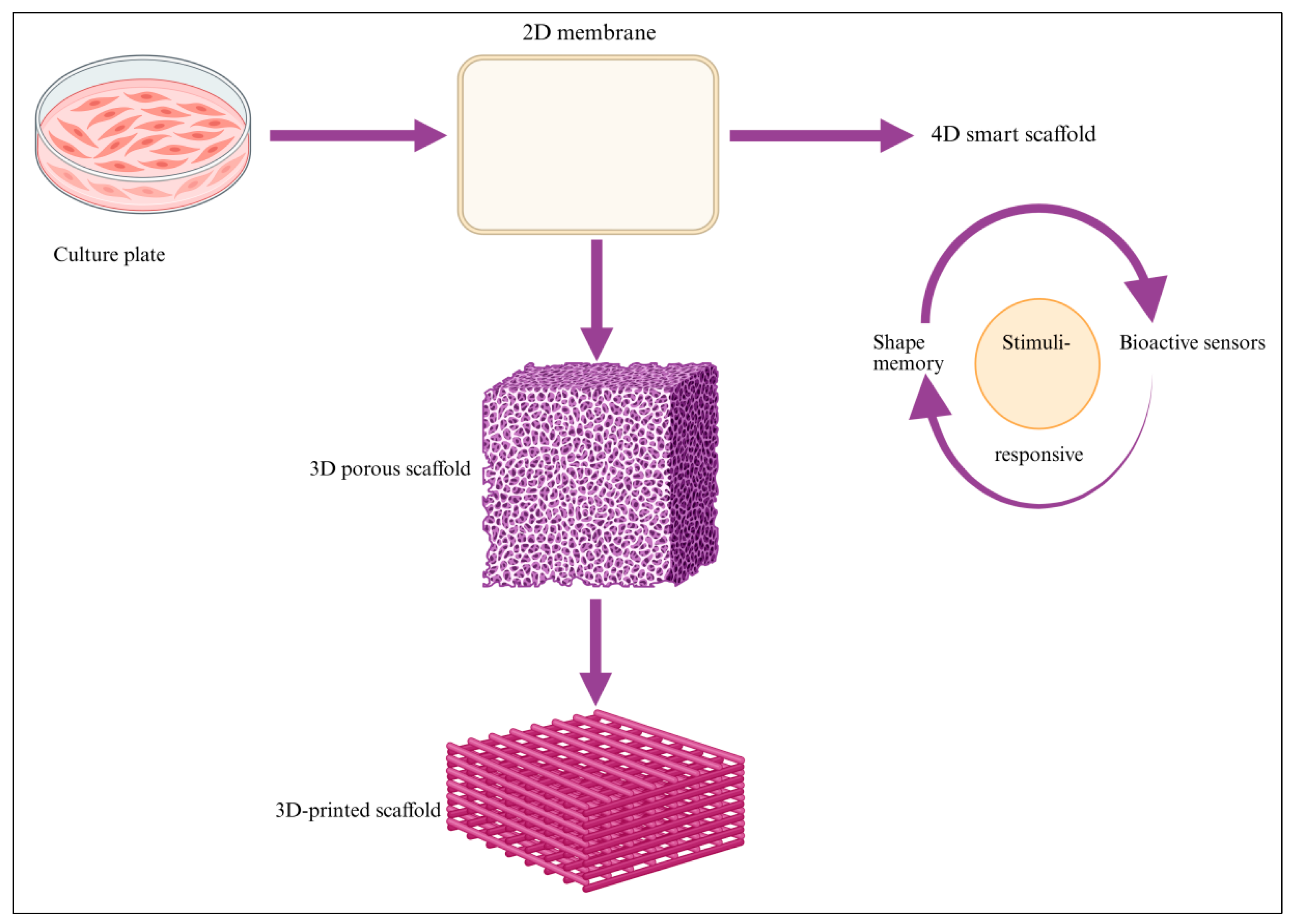 Biomimetic Strategies for Bone Regeneration: Smart Scaffolds and ...