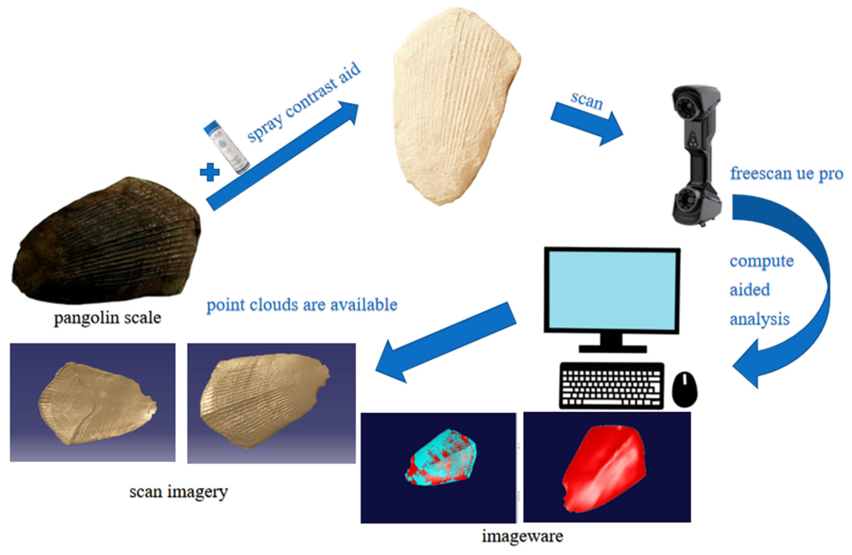 Design and Analysis of a Bionic Pressing Roller Based on the Structural ...