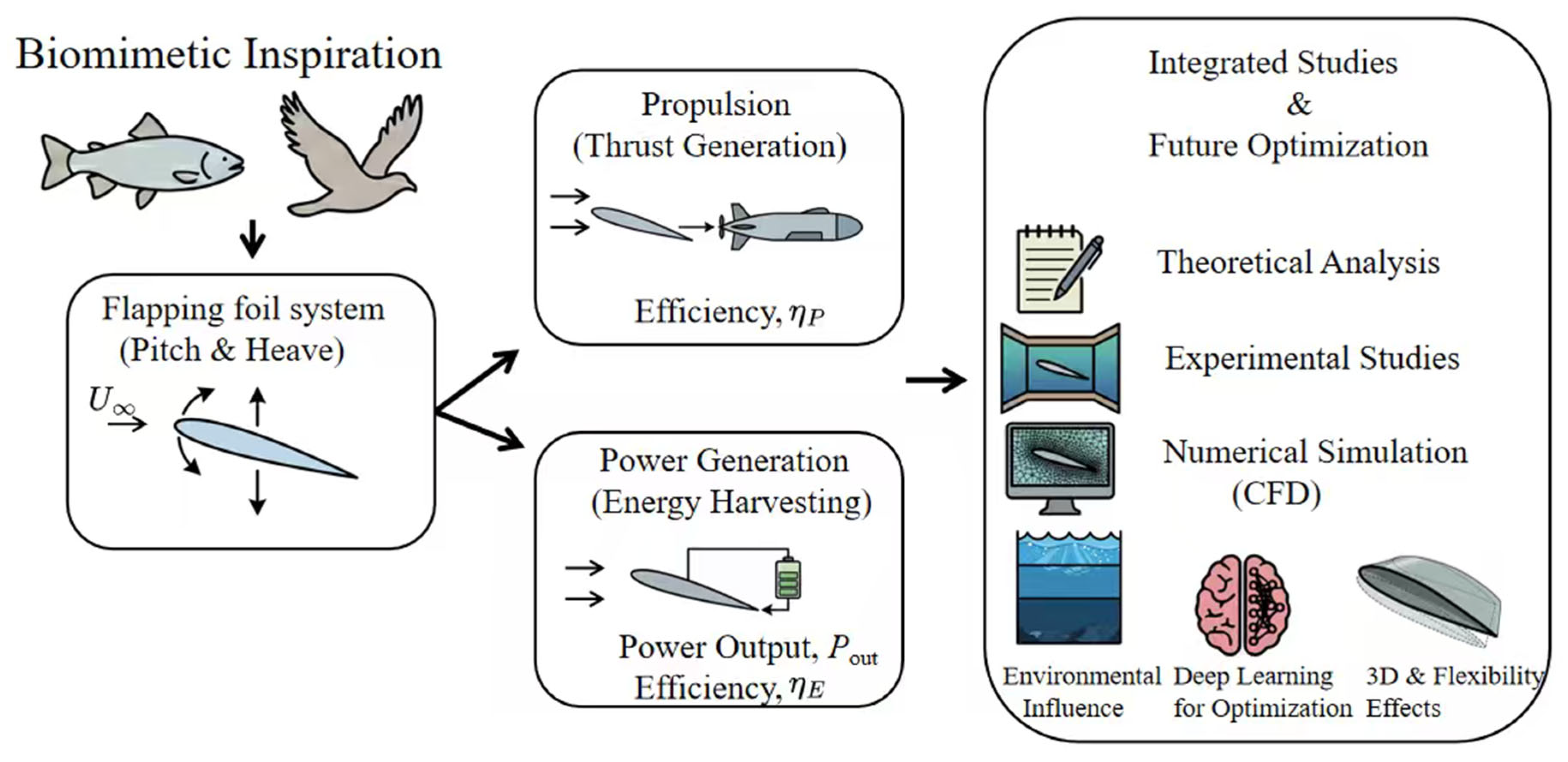 Flapping Foil-Based Propulsion and Power Generation: A Comprehensive Review