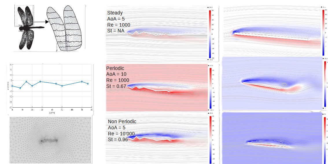 Numerical Study into the Spanwise Effects for the Three-Dimensional ...