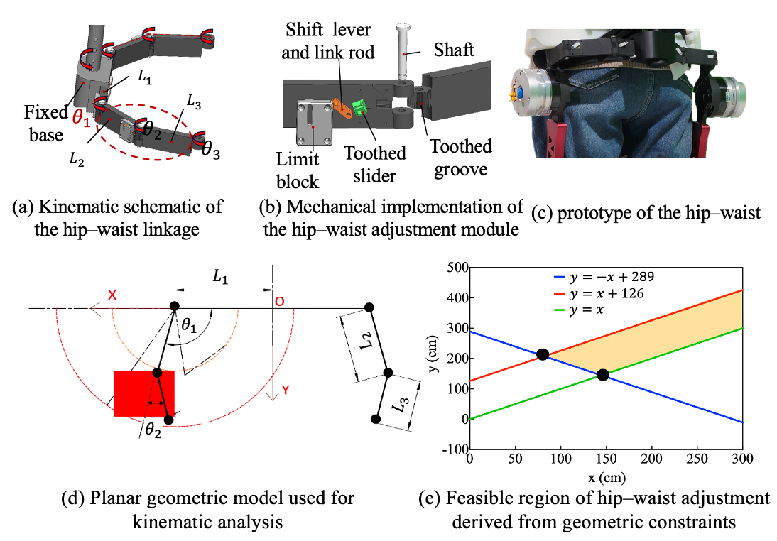 Design and Evaluation of a Trunk–Limb Robotic Exoskeleton for Gait ...