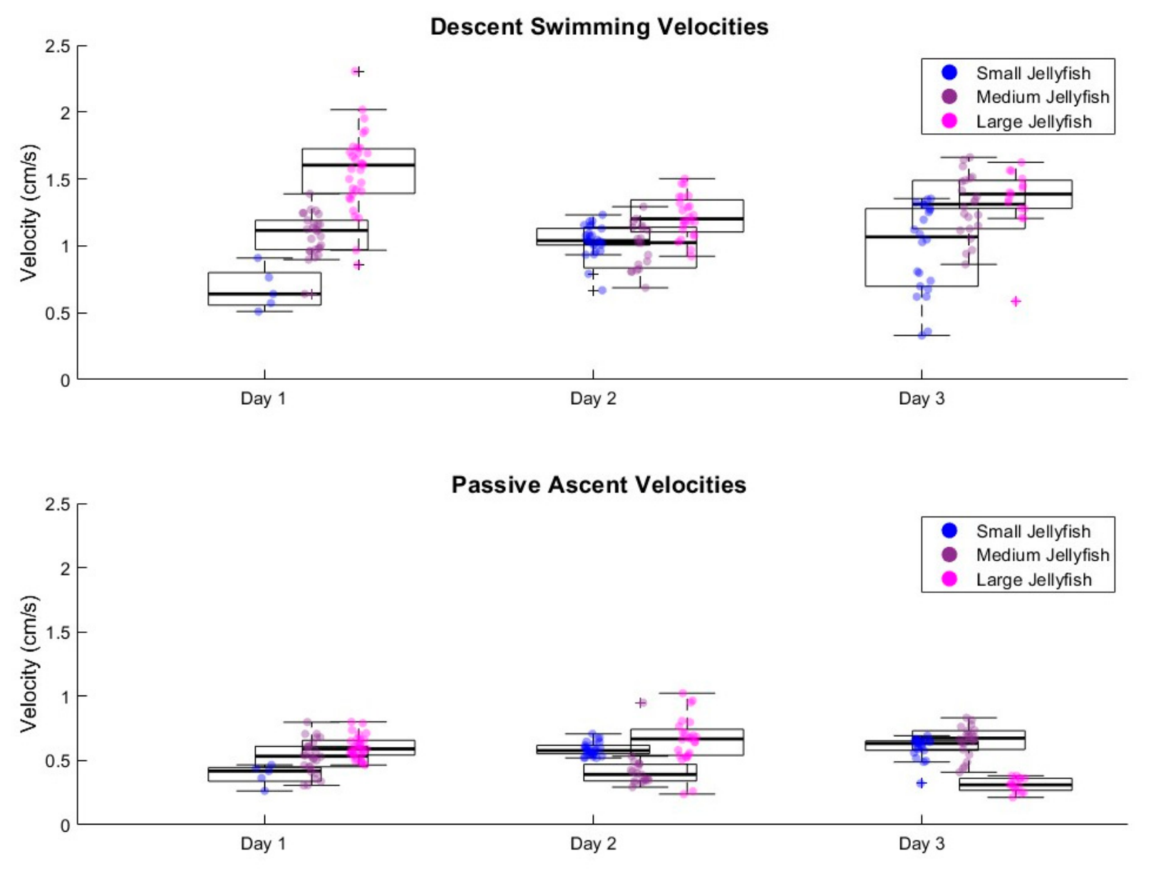 Biohybrid Robotic Jellyfish for Swimming-Enhanced Vertical Ocean Profiling