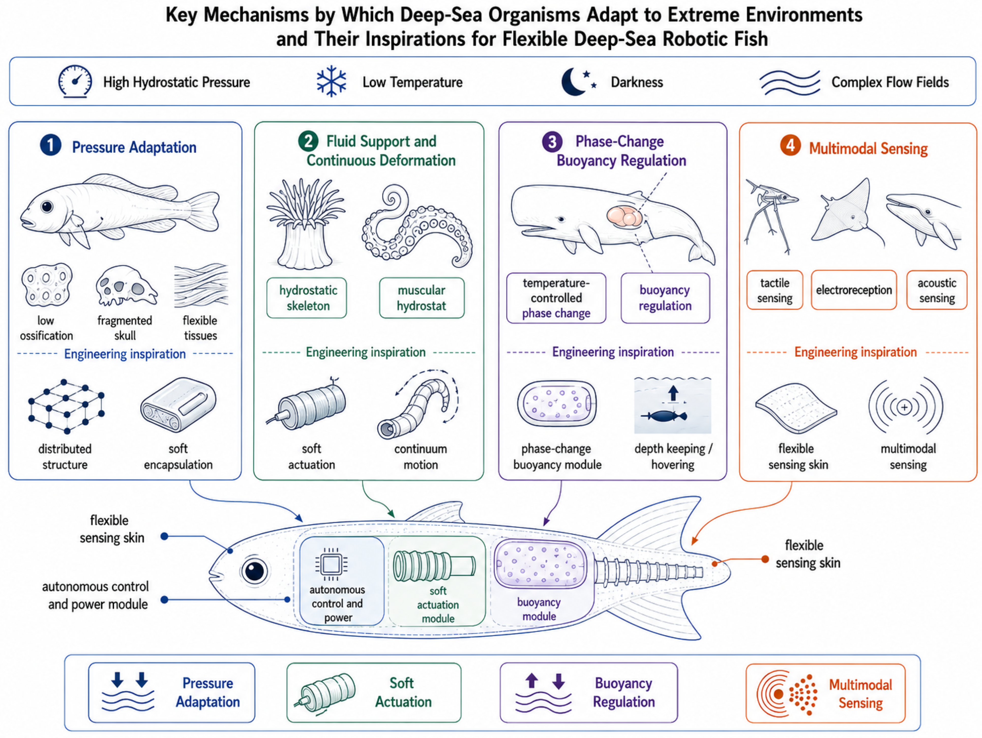 Deep-Sea Soft Bionic Fish: Advances in Pressure-Tolerant Design, Soft ...