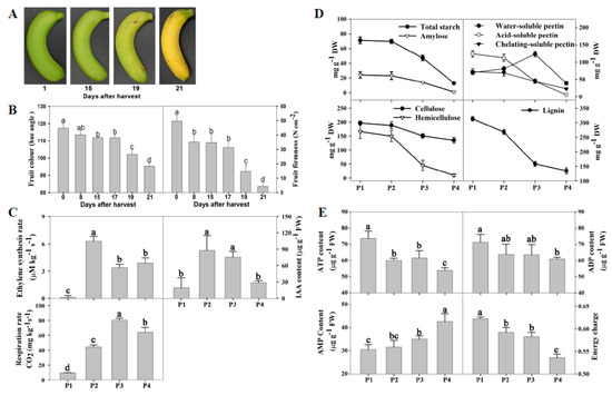 Integrated Transcriptomic, Proteomic, and Metabolomics Analysis Reveals ...
