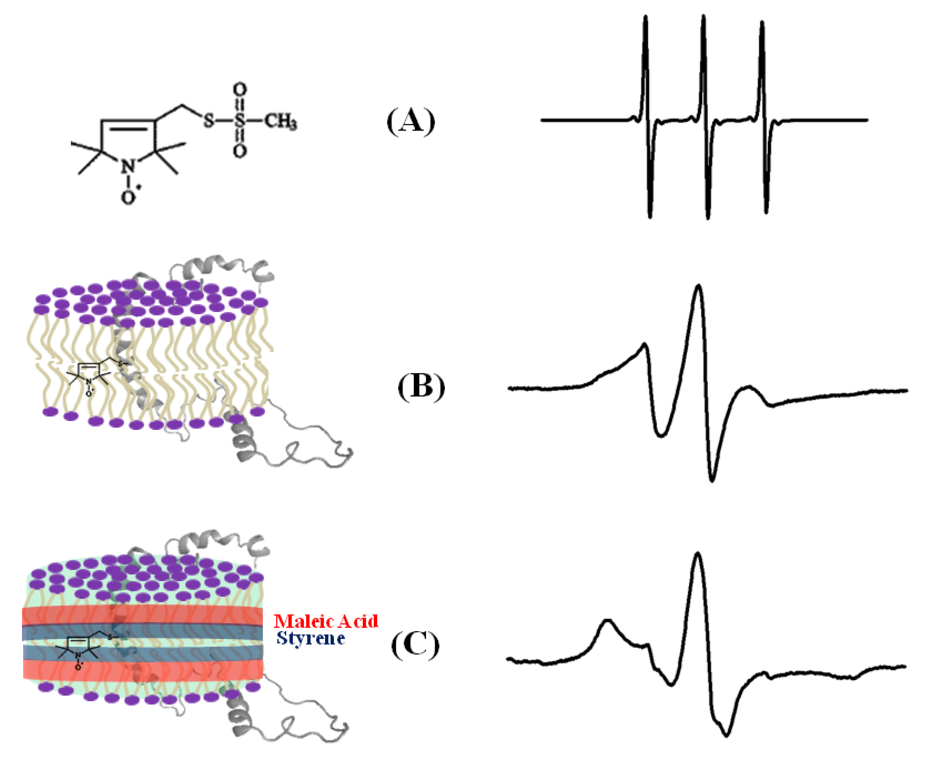 Biomolecules Free Full Text Electron Paramagnetic Resonance As A Biomolecules Free Full Text Electron Paramagnetic Resonance As A