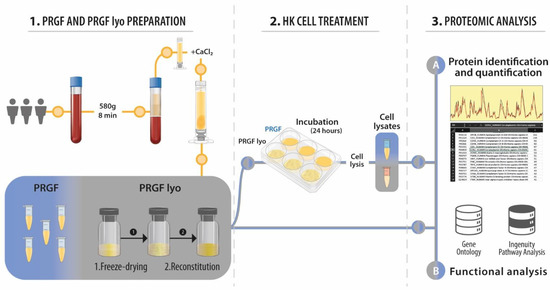 Differential Protein Content between Fresh and Freeze-Dried Plasma Rich ...