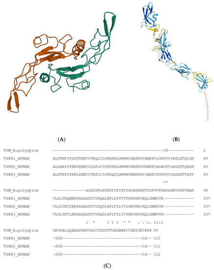 Biomolecules | Free Full-Text | Importance of TGFβ in Cancer and Nematode Infection and Their ...