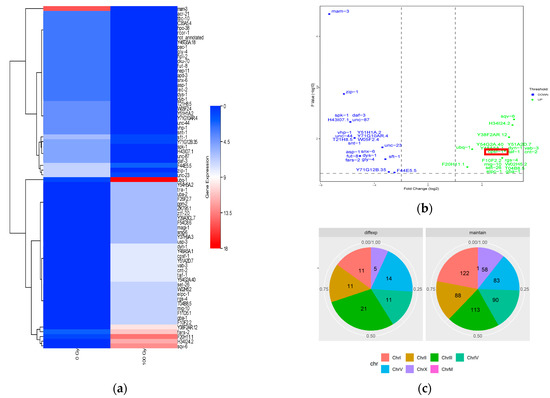 Circ-CPSF1 Worsens Radiation-Induced Oxidative Stress Injury in ...