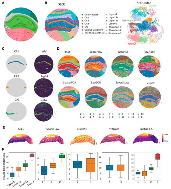 Biomolecules | An Open Access Journal from MDPI