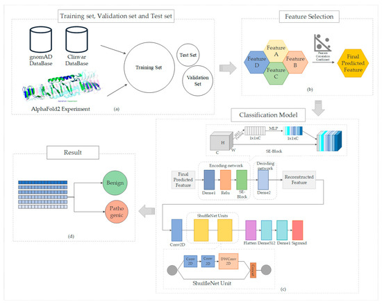 Enhancing Missense Variant Pathogenicity Prediction with MissenseNet: Integrating Structural ...