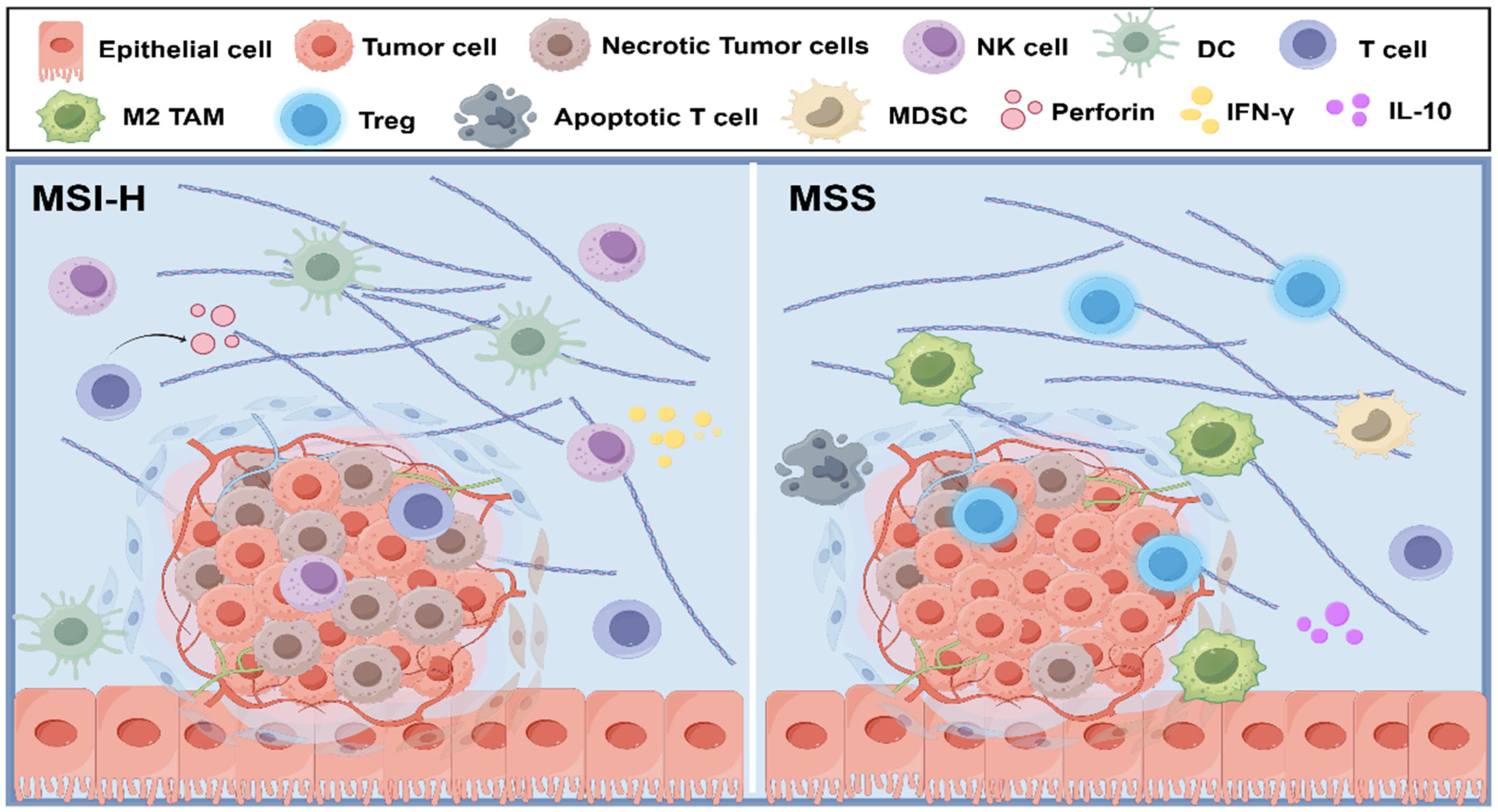 Regulatory Mechanisms of Lipid Rafts in Remodeling the Tumor Immune ...