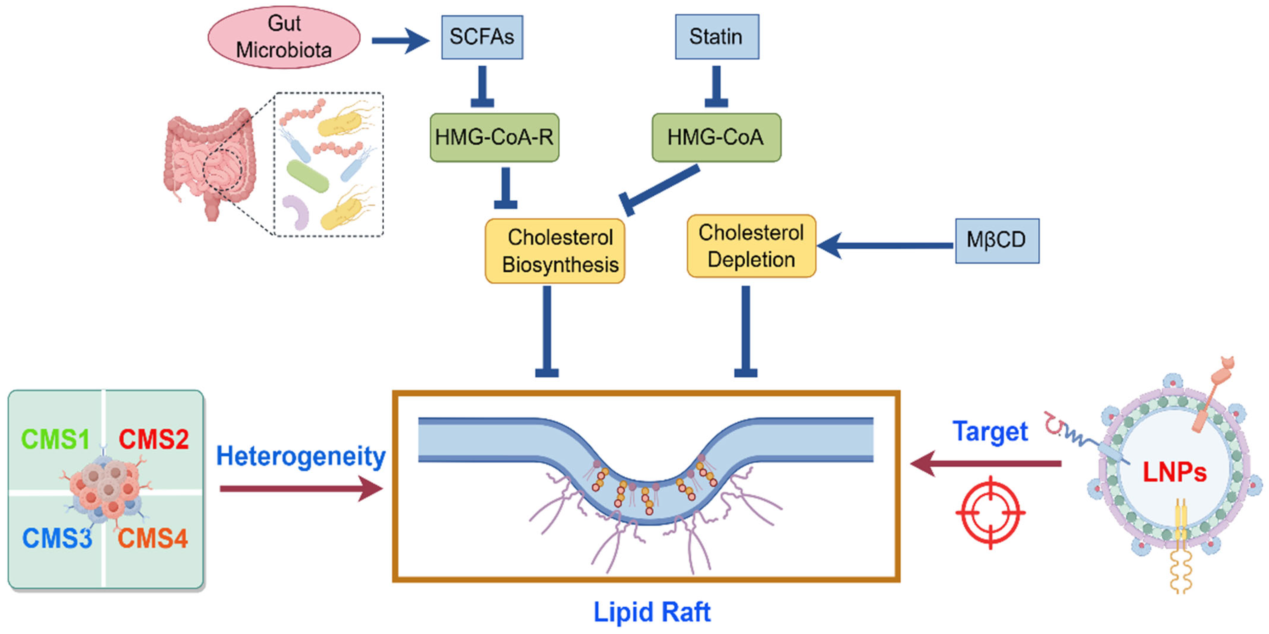 Regulatory Mechanisms of Lipid Rafts in Remodeling the Tumor Immune ...