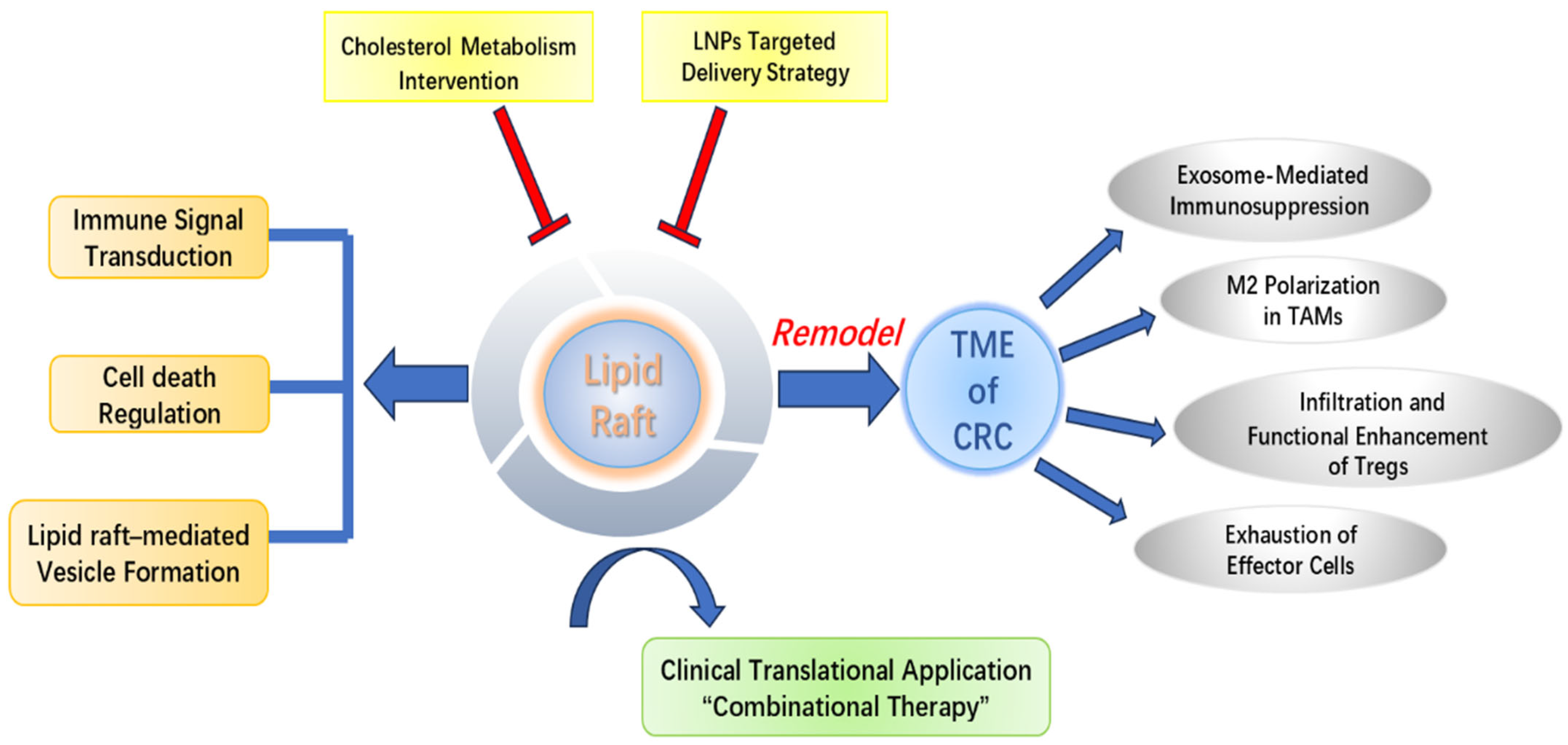 Regulatory Mechanisms of Lipid Rafts in Remodeling the Tumor Immune ...