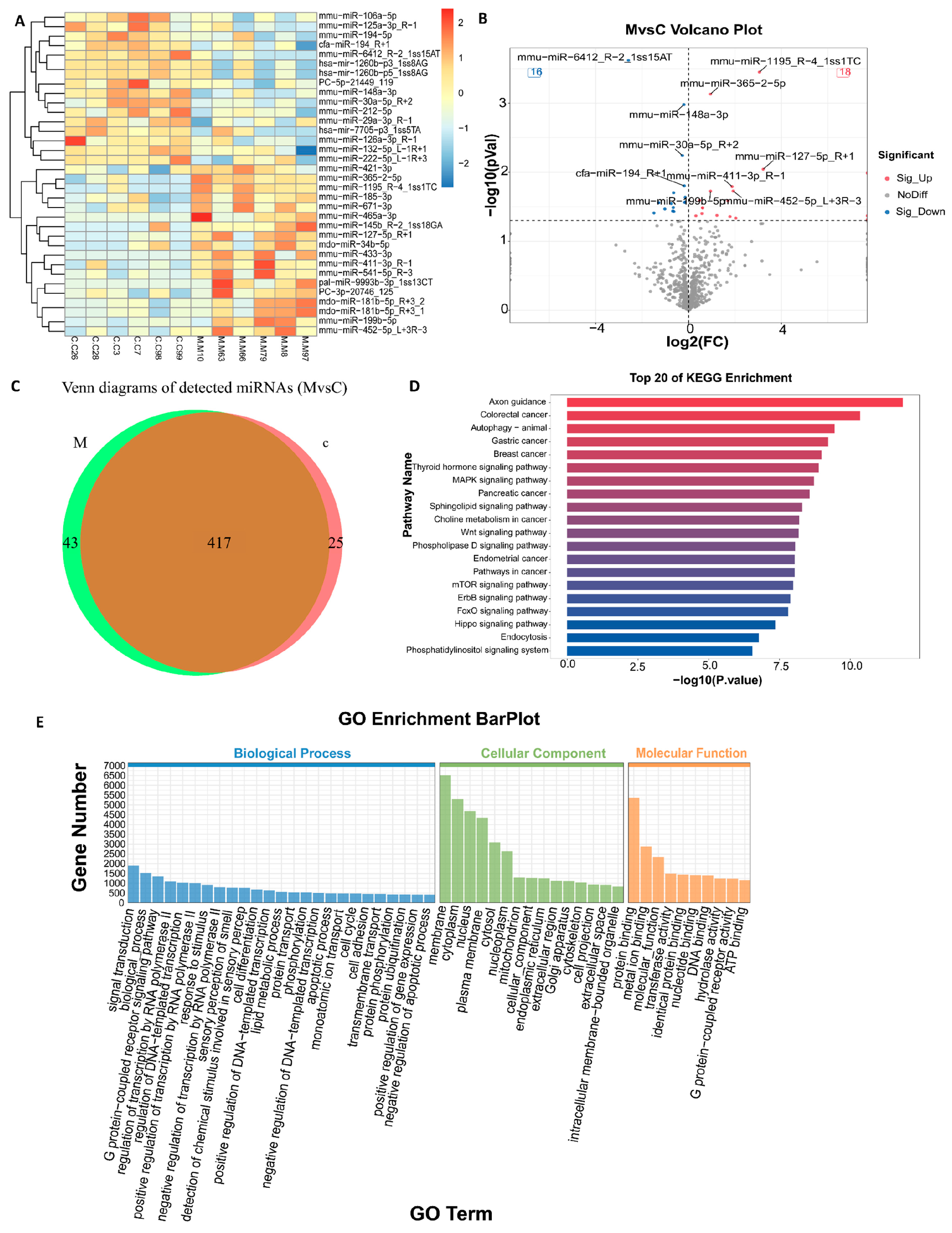 Molecular Network Analysis of HBV Persistent Infection from the ...