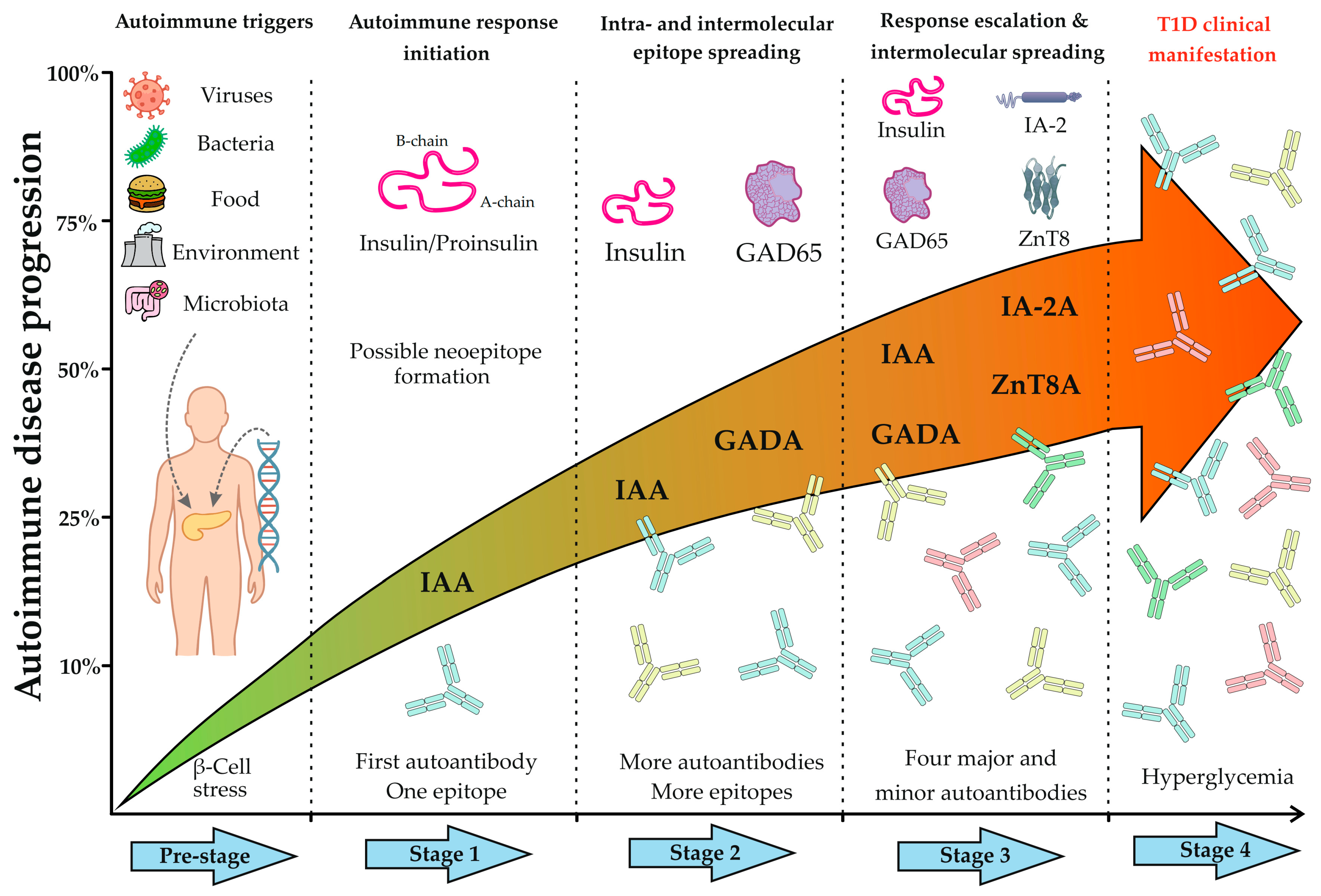 Molecular Portrait of Autoantigens in Type 1 Diabetes