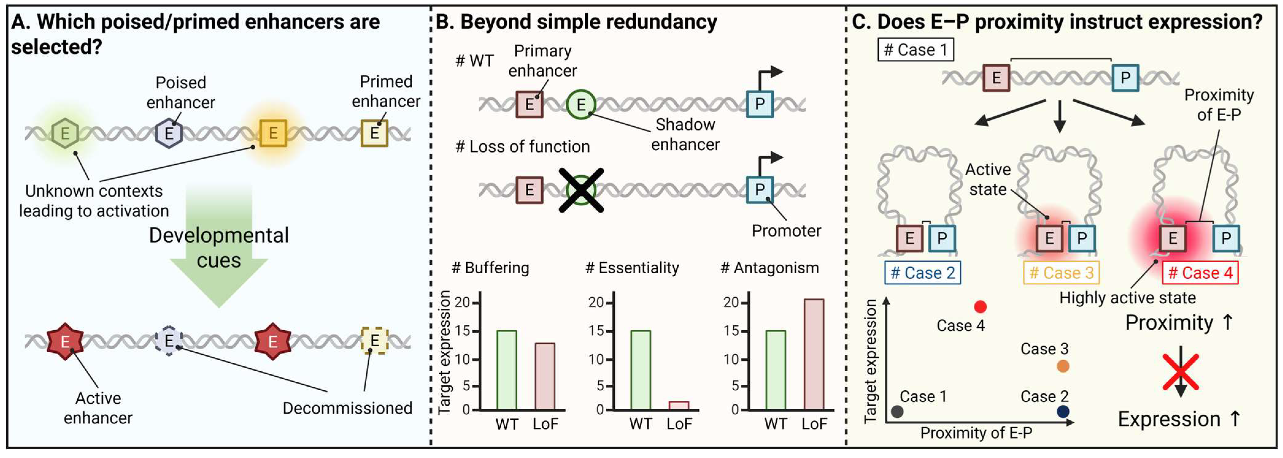 Enhancer Trajectories in Lineage Commitment: Regulatory Logic of States ...