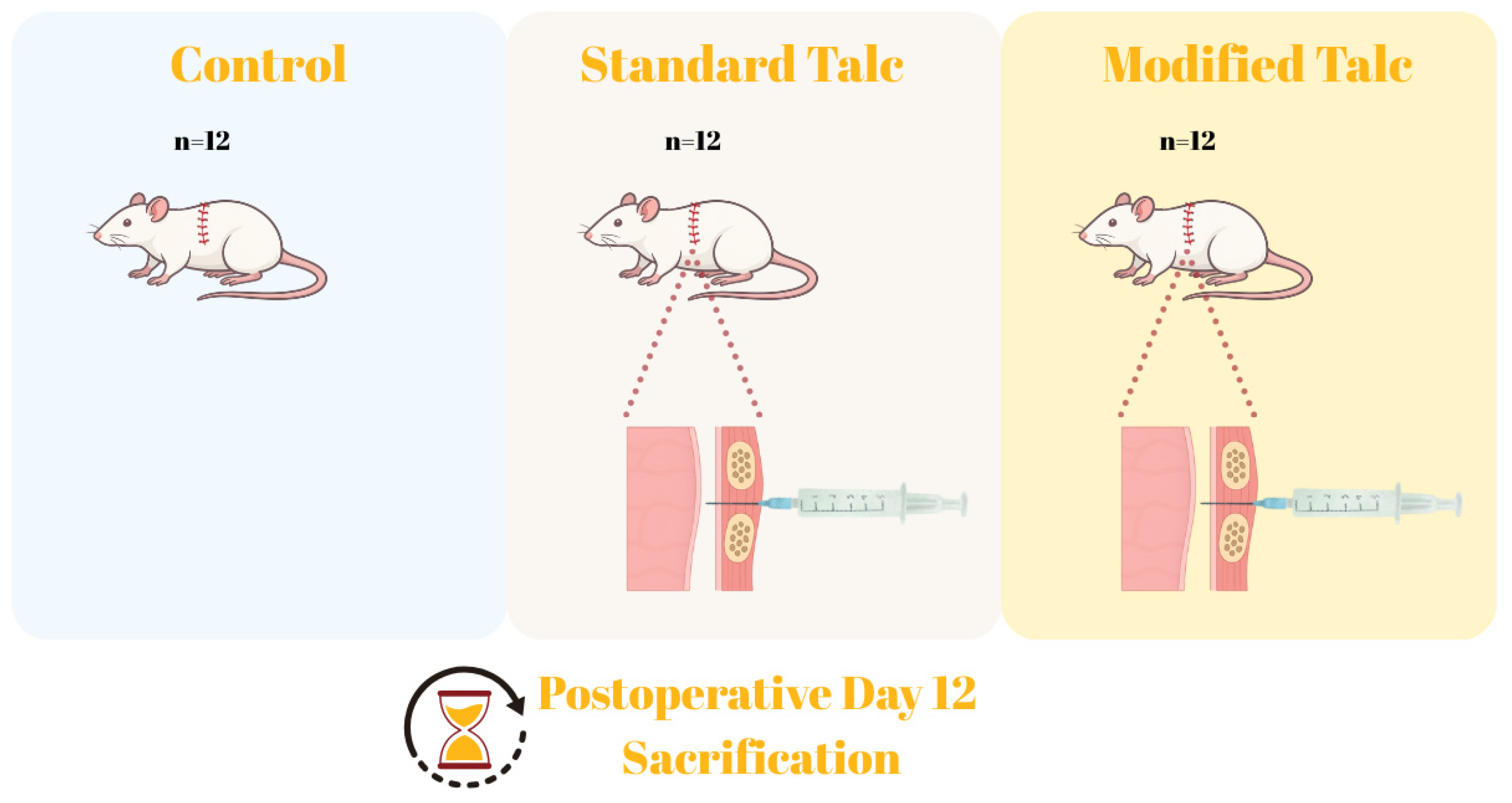 Efficacy of Modified Talc Powder in Experimental Rat Model of Pleurodesis