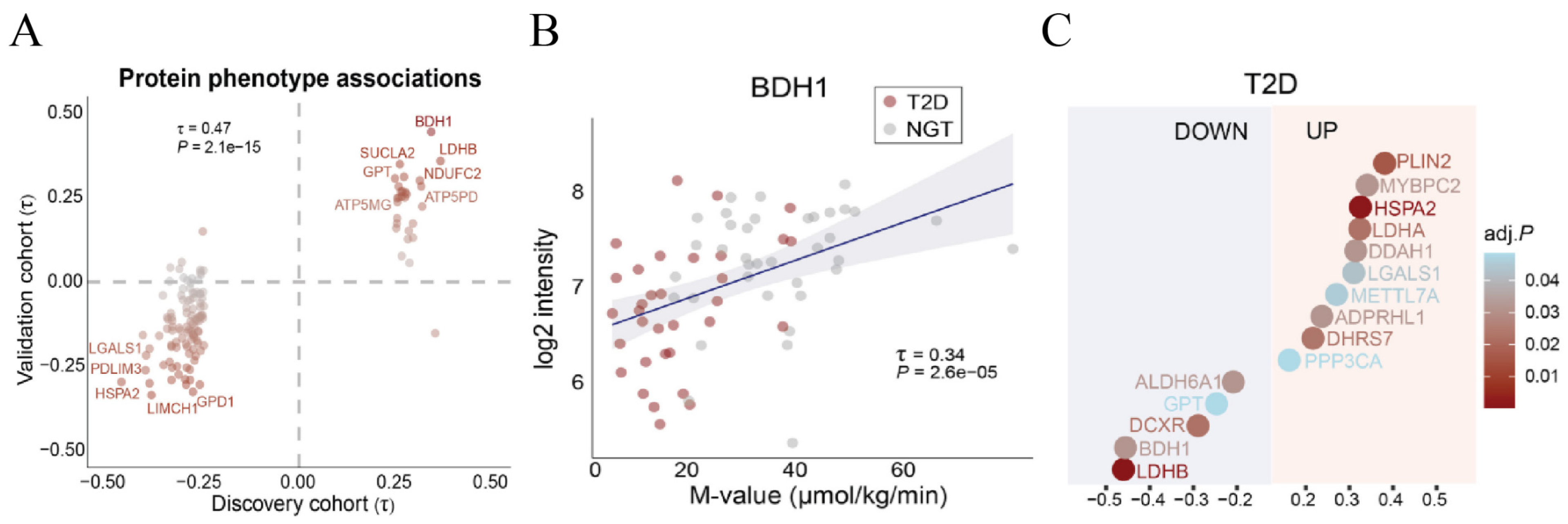 BDH1 Mediates Aerobic Exercise-Induced Improvement in Skeletal Muscle ...