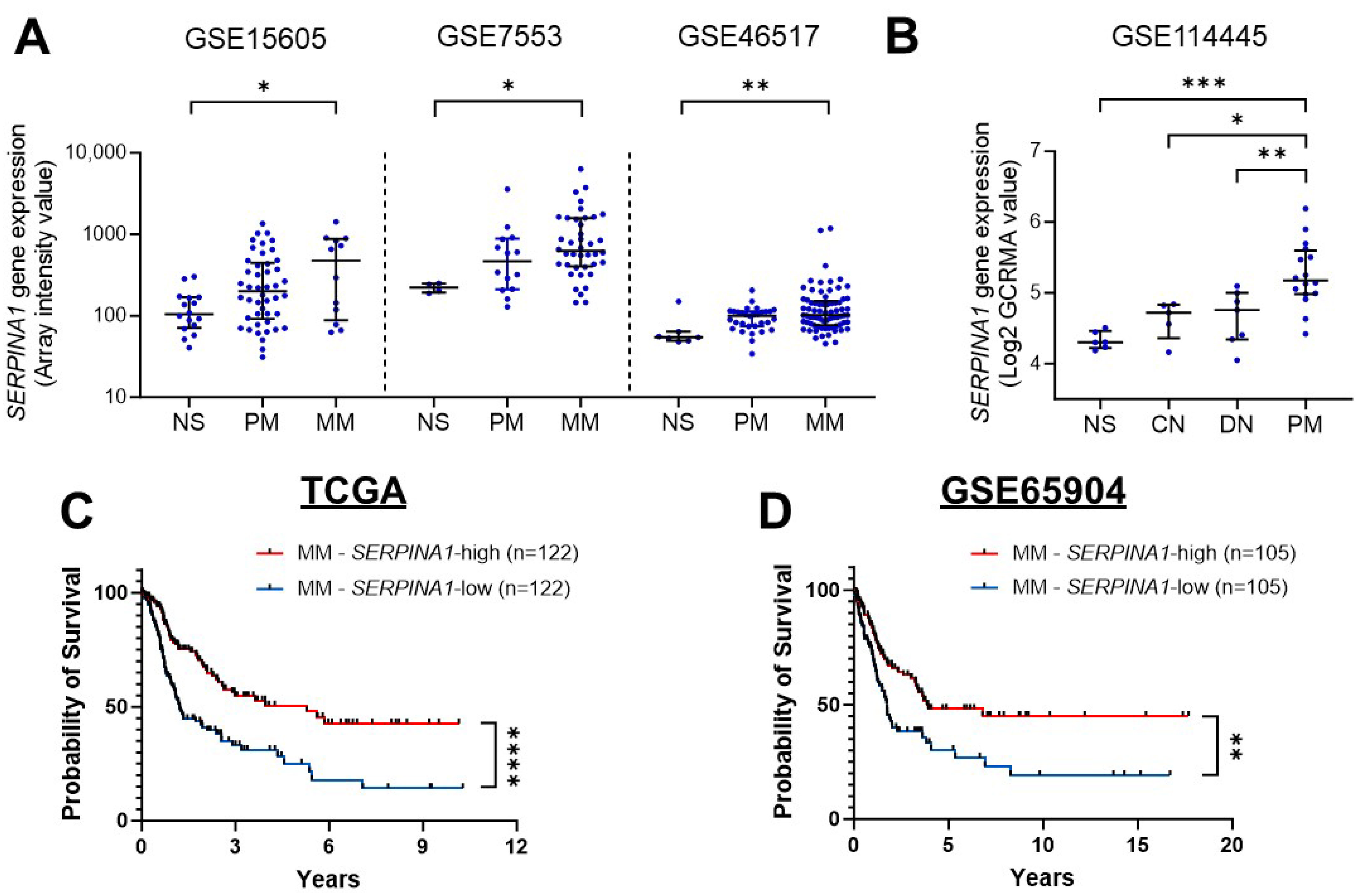 Human Alpha-1 Antitrypsin Suppresses Melanoma Growth by Promoting Tumor ...