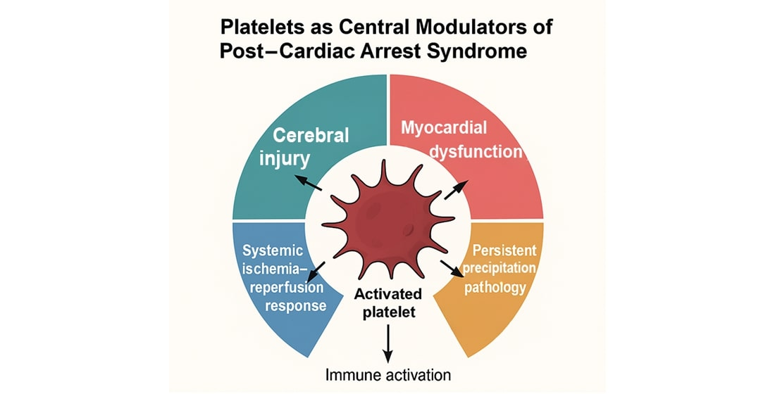 Platelets as Central Modulators of Post-Cardiac Arrest Syndrome ...