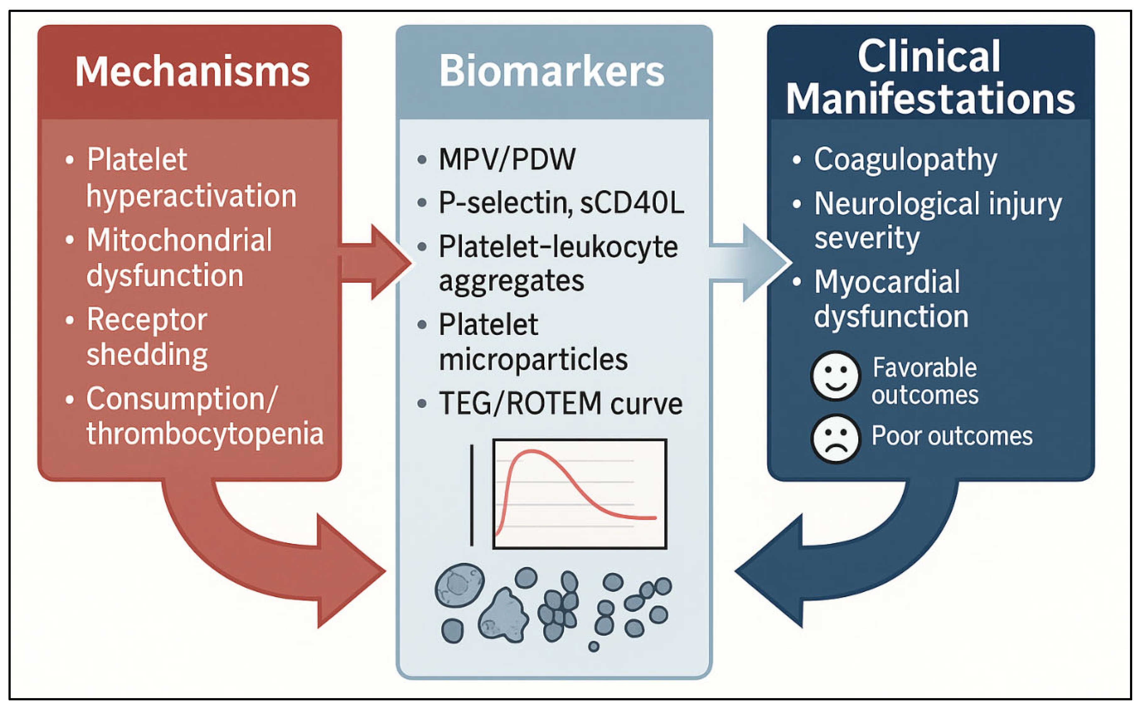 Platelets as Central Modulators of Post-Cardiac Arrest Syndrome ...