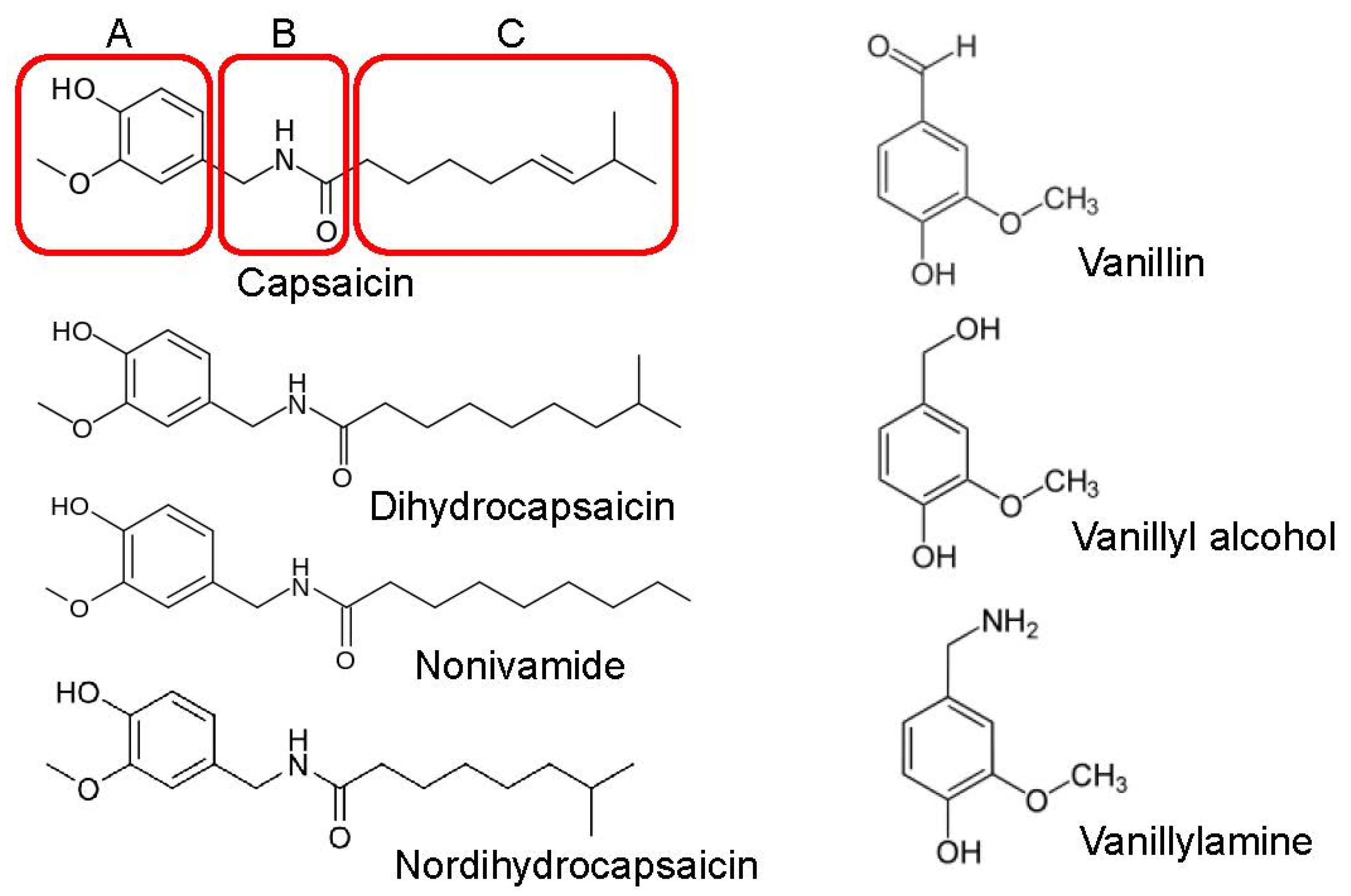 Direct Effects of Capsaicin on Voltage-Dependent Calcium Channels of ...